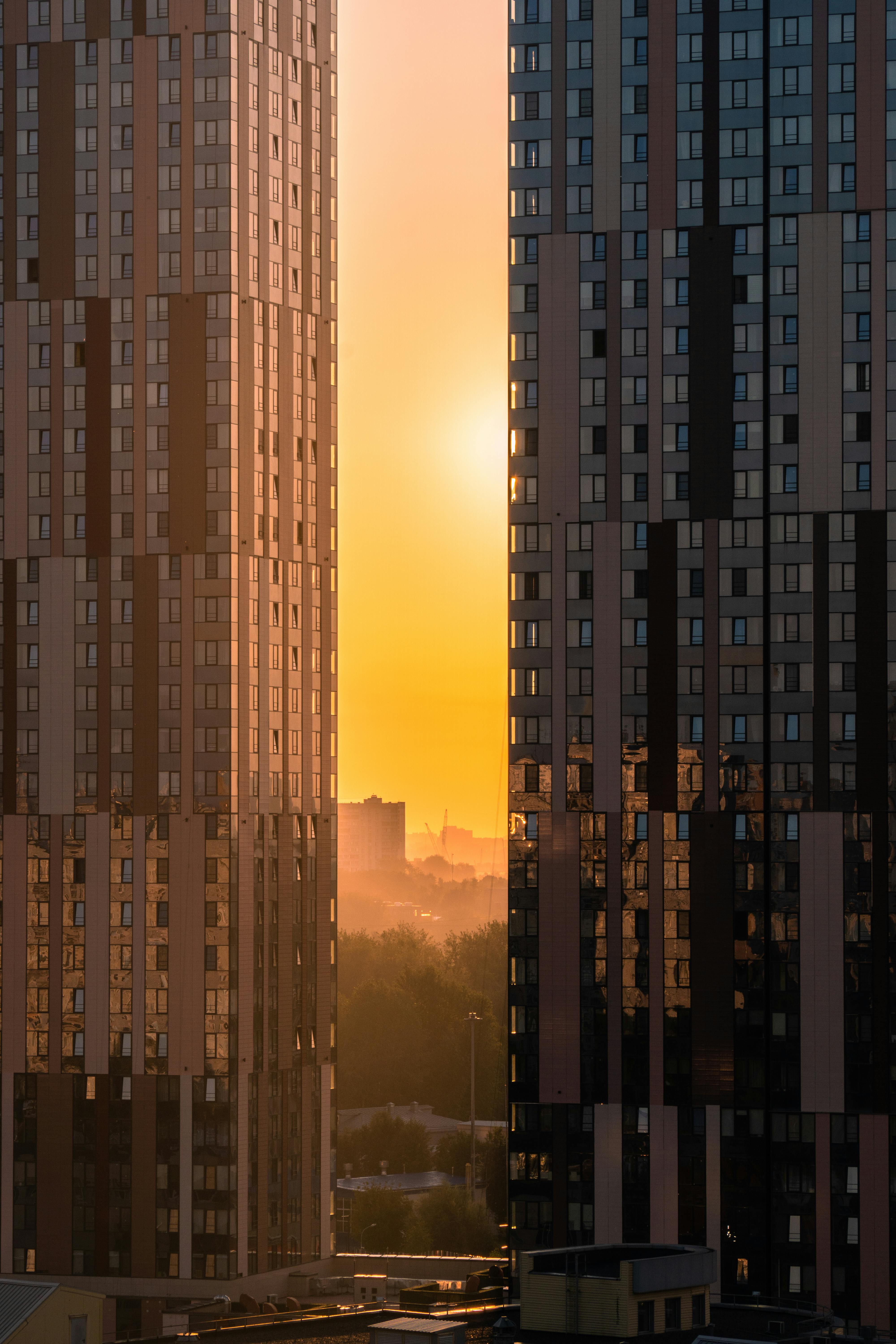 Developer Vertical Photos, Download The BEST Free Developer Vertical ...