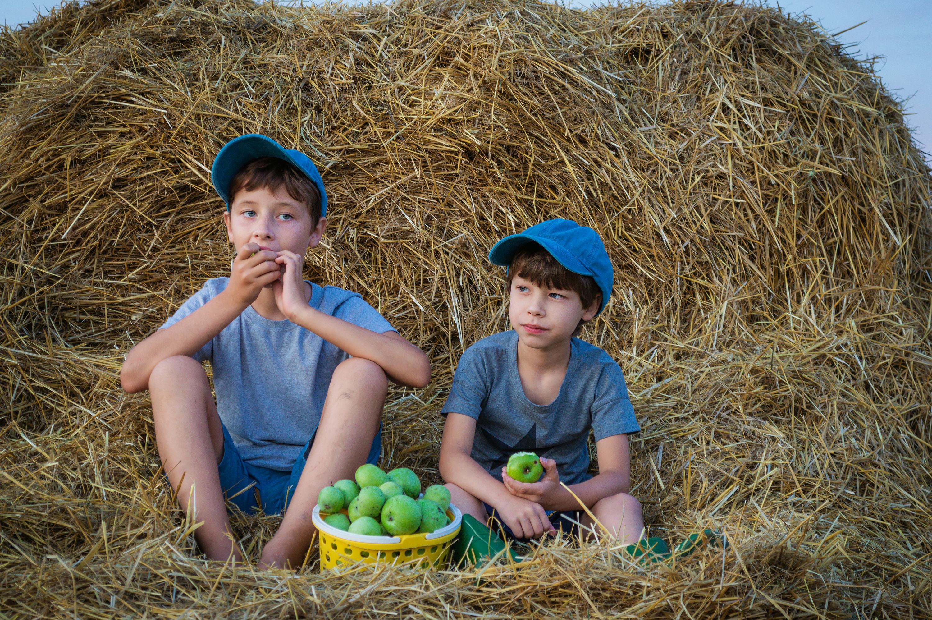 2 Boys Sitting on Brown Haystack · Free Stock Photo