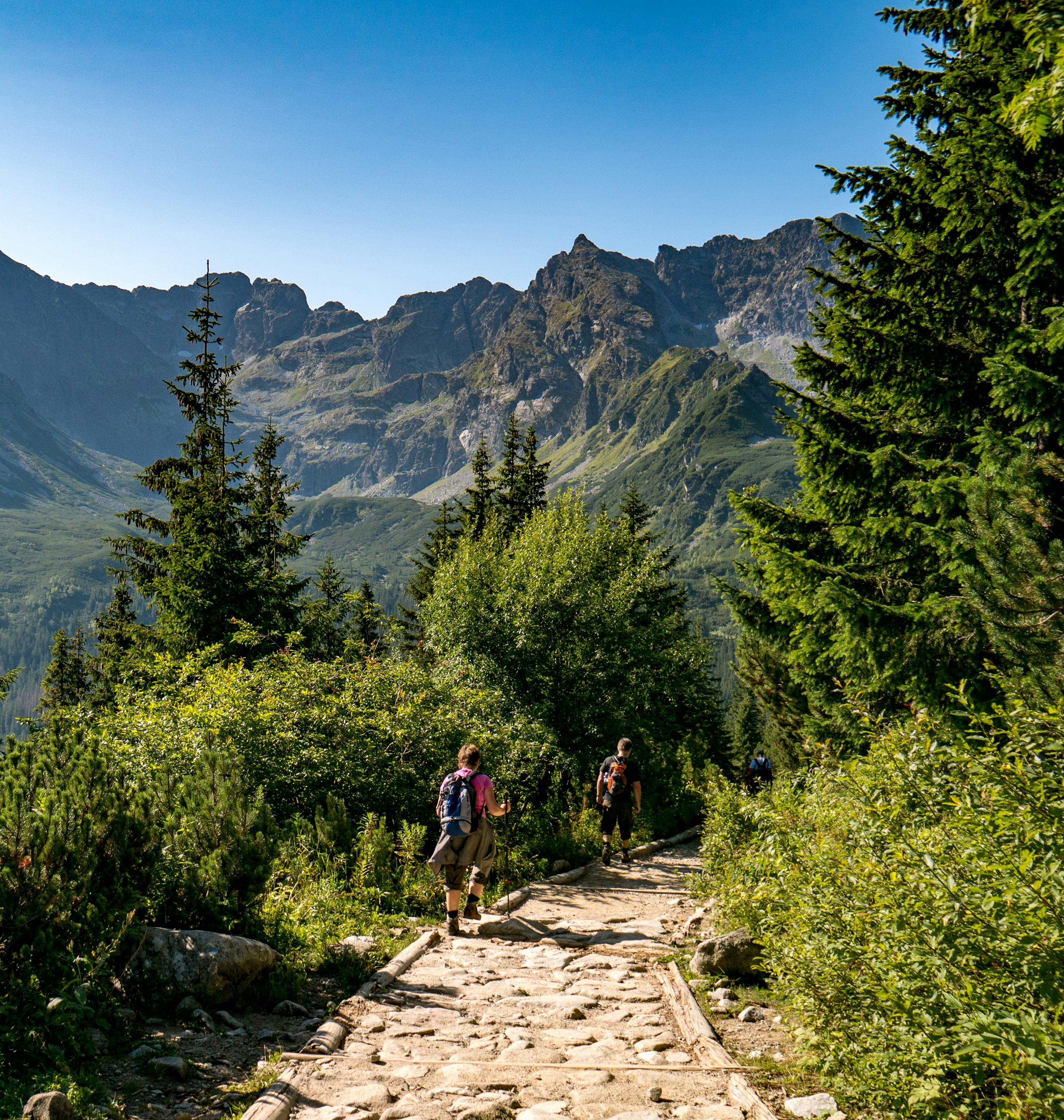 People Hiking on Mountain · Free Stock Photo