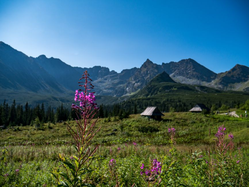 Tatra mountain peaks in summer