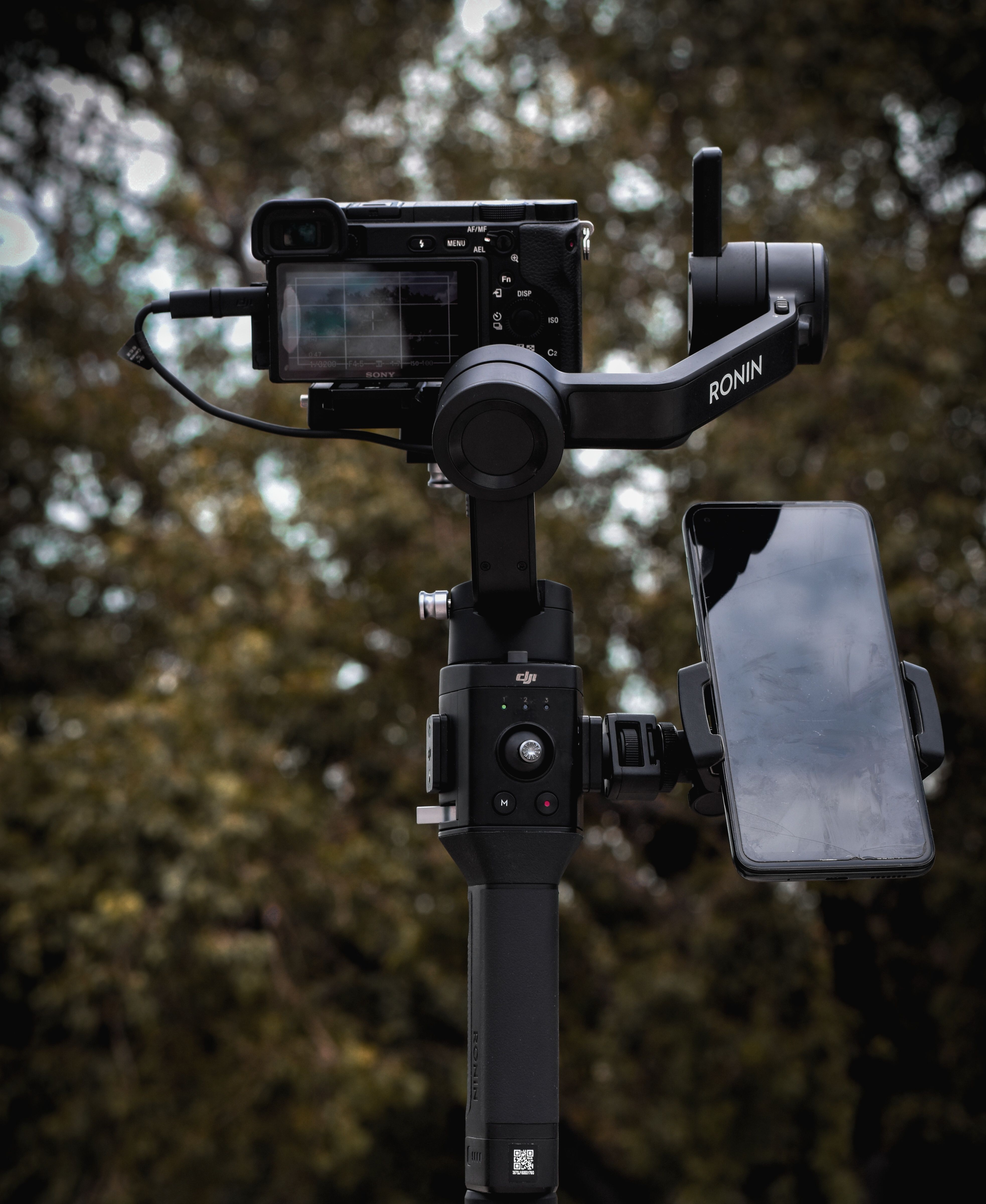 100+ Best Gimbals Photos · 100% Free Download · Pexels Stock Photos