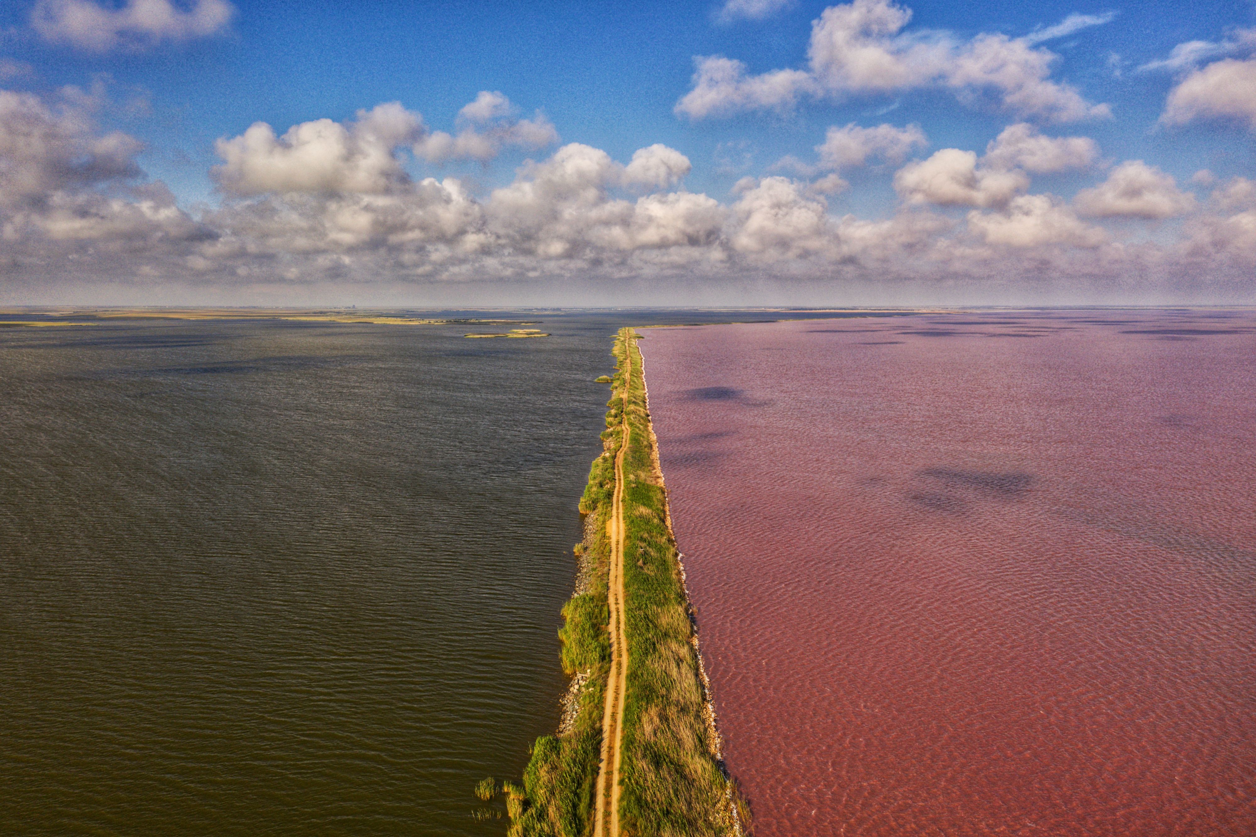 Aerial view of the Ria Lagartos Biosphere Reserve · Free Stock Photo