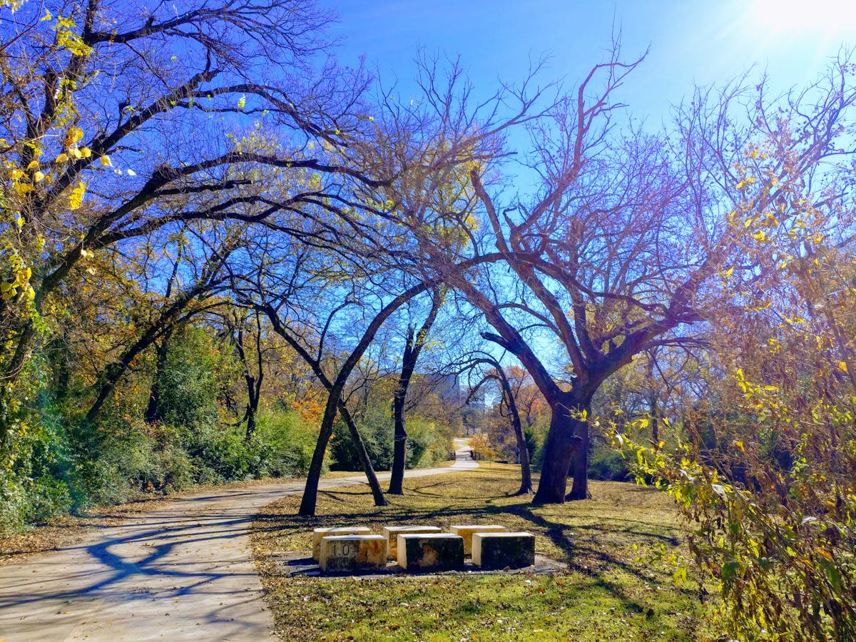 Scene Photos, Download The BEST Free Scene Stock Photos & HD Images