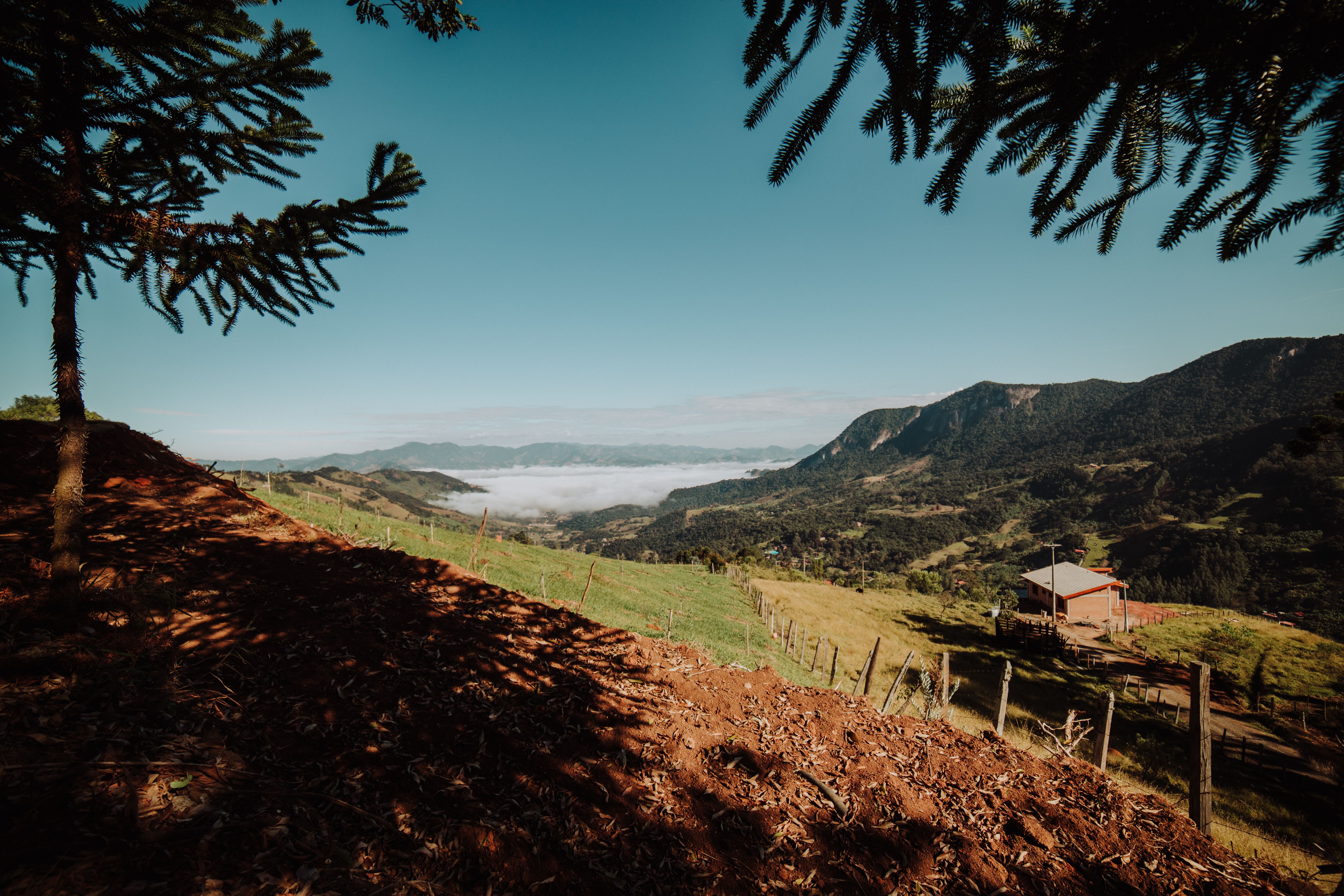Sunny Trail on Hillside · Free Stock Photo