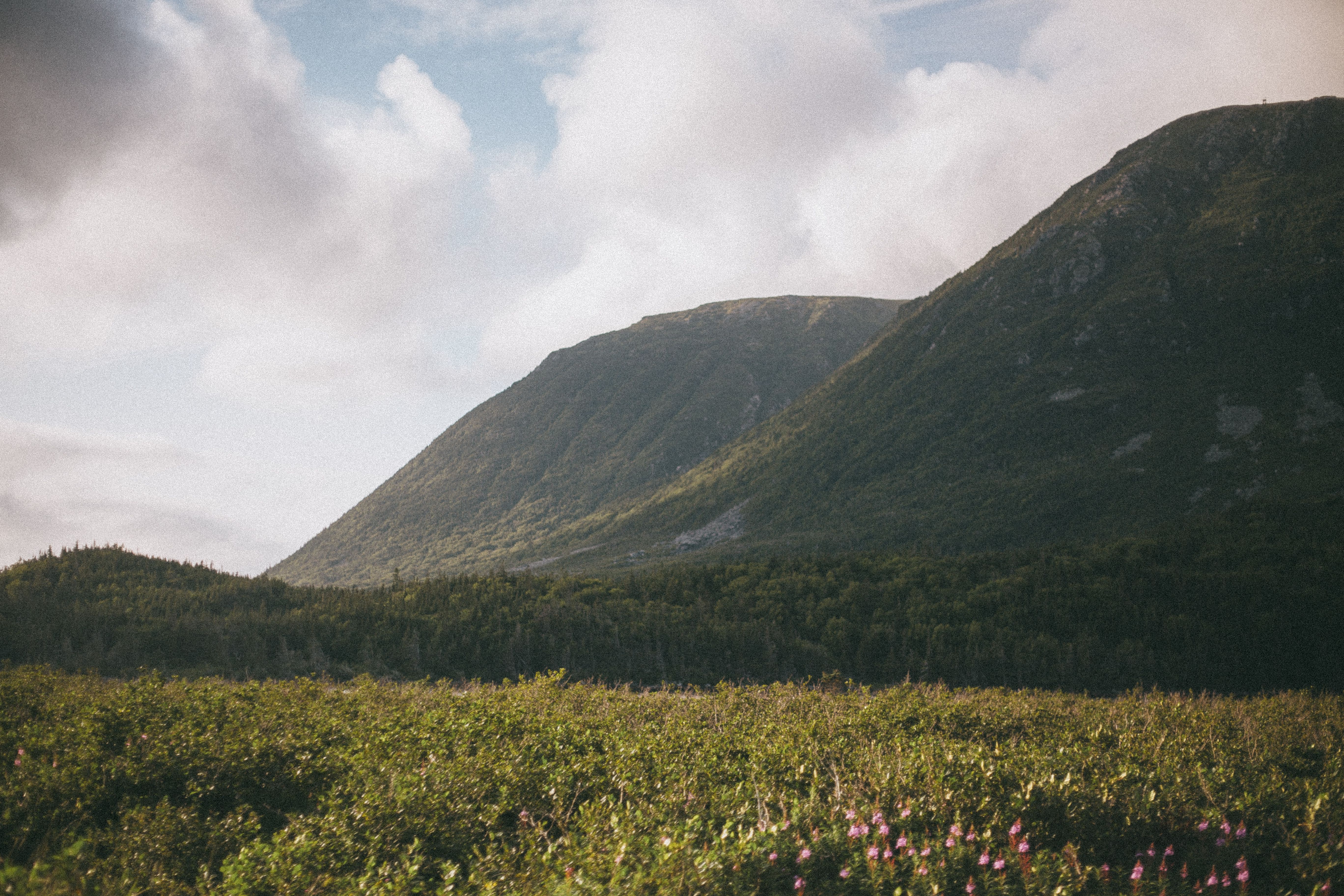 Green Mountains Under White Clouds · Free Stock Photo