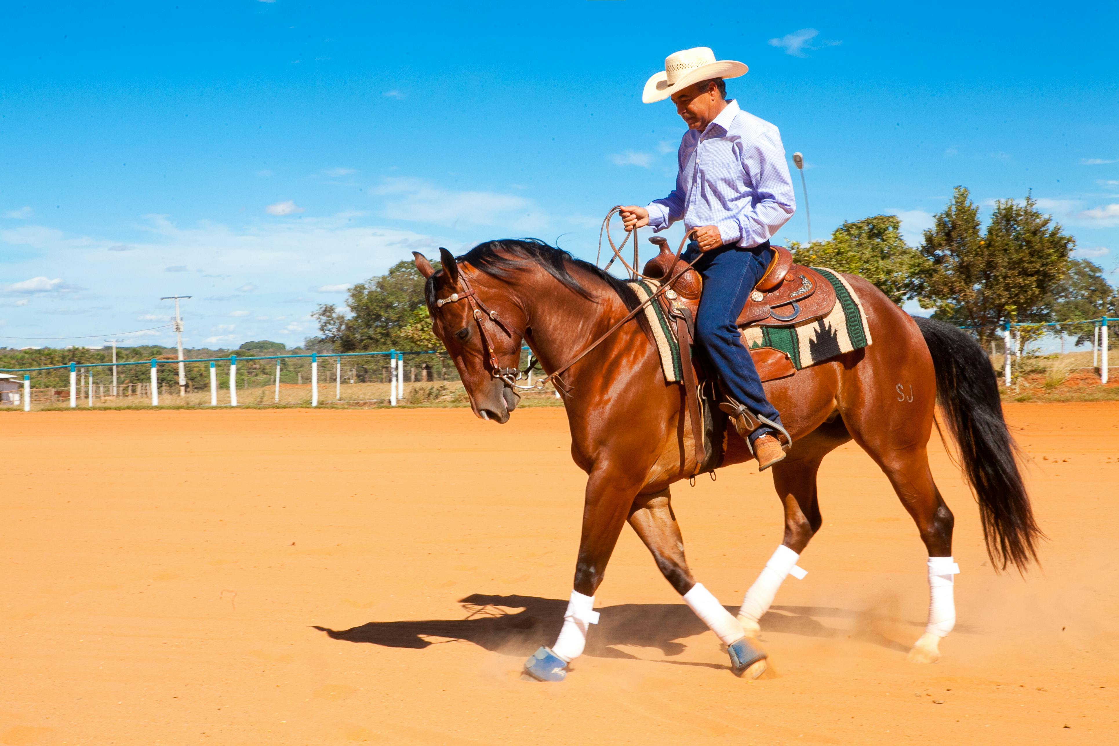 A Cowboy Falling on Brown Sand · Free Stock Photo