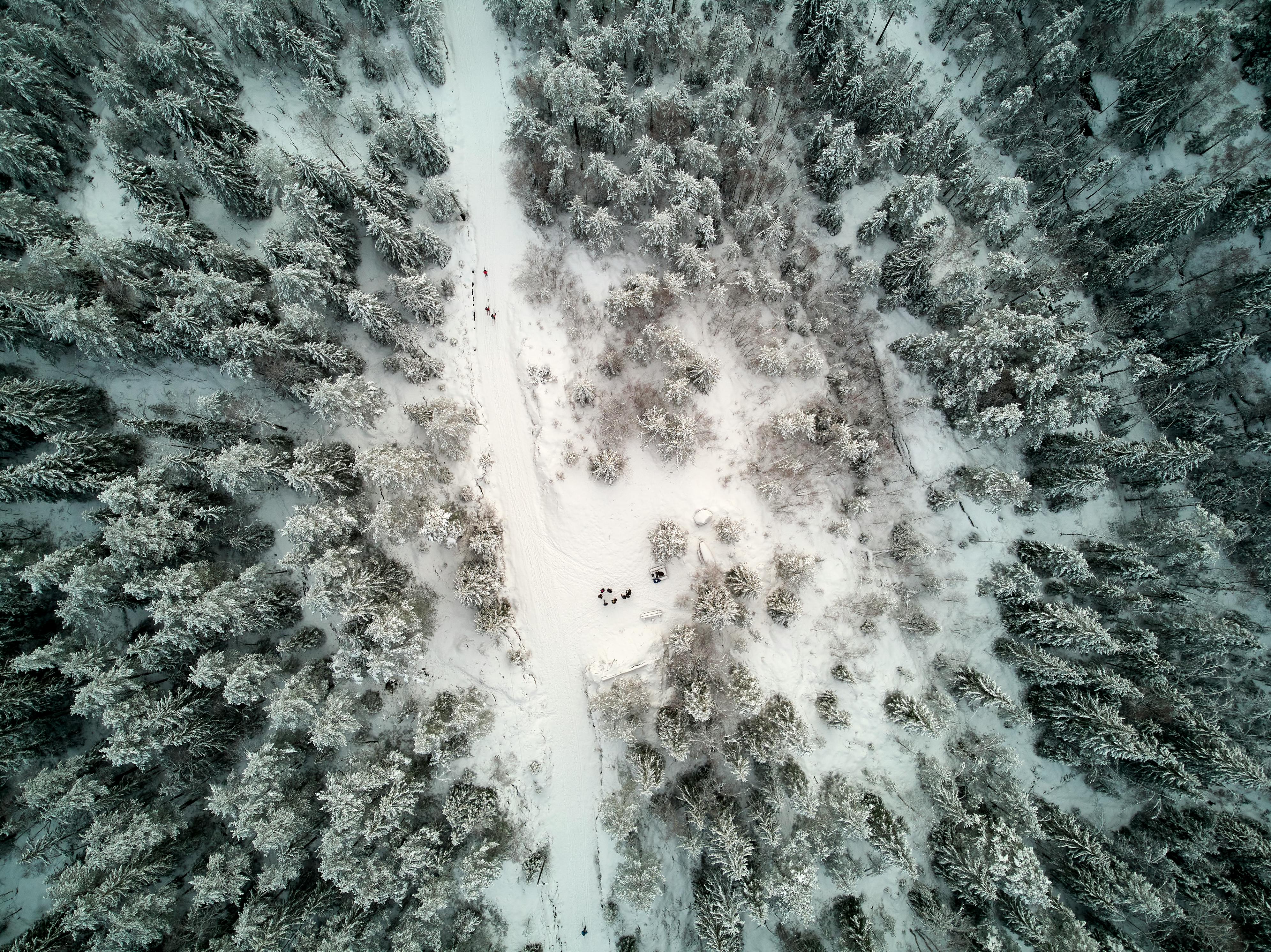 Aerial Photo of Snowy Field · Free Stock Photo