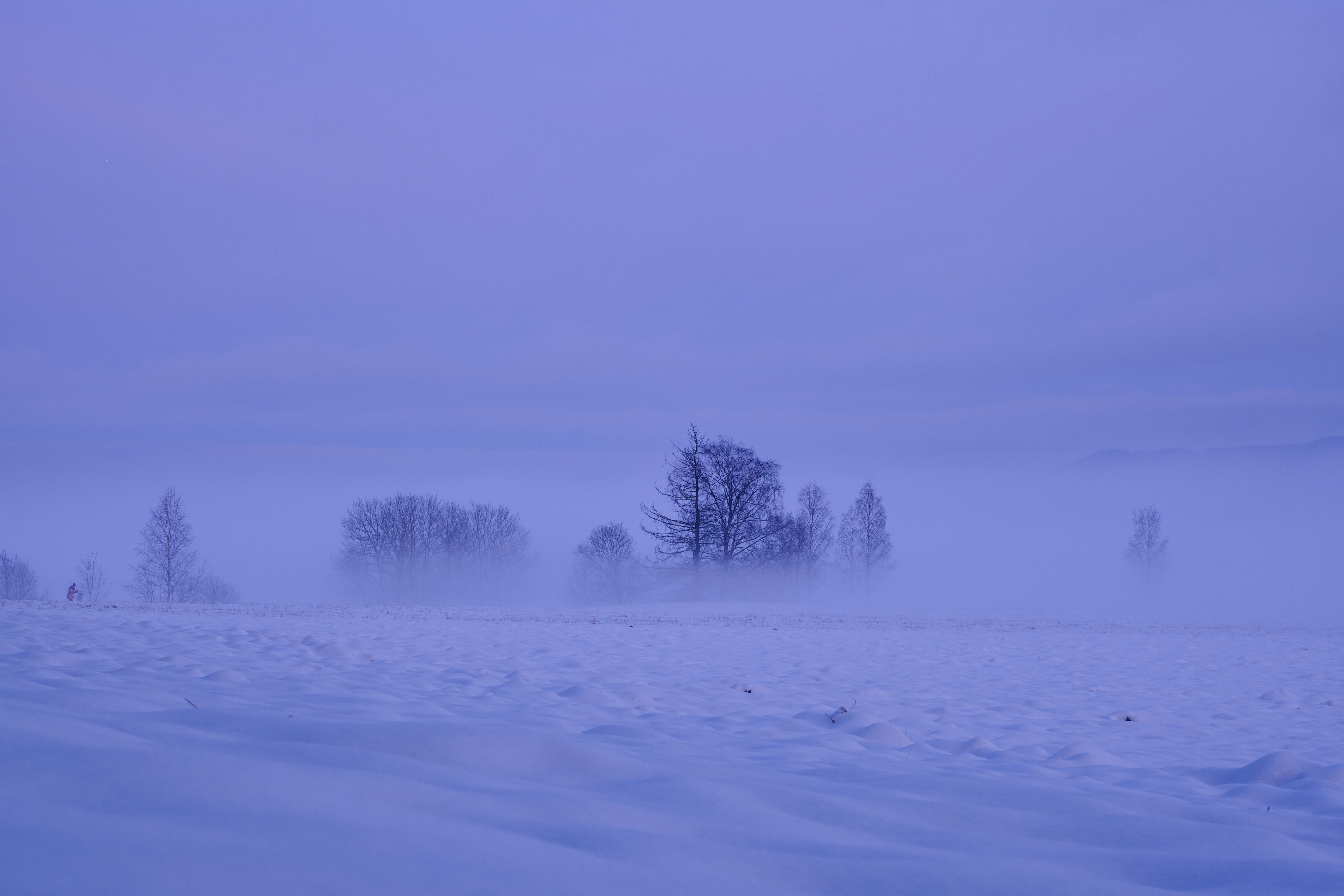 A Wooden House on a Snow-Covered Field · Free Stock Photo