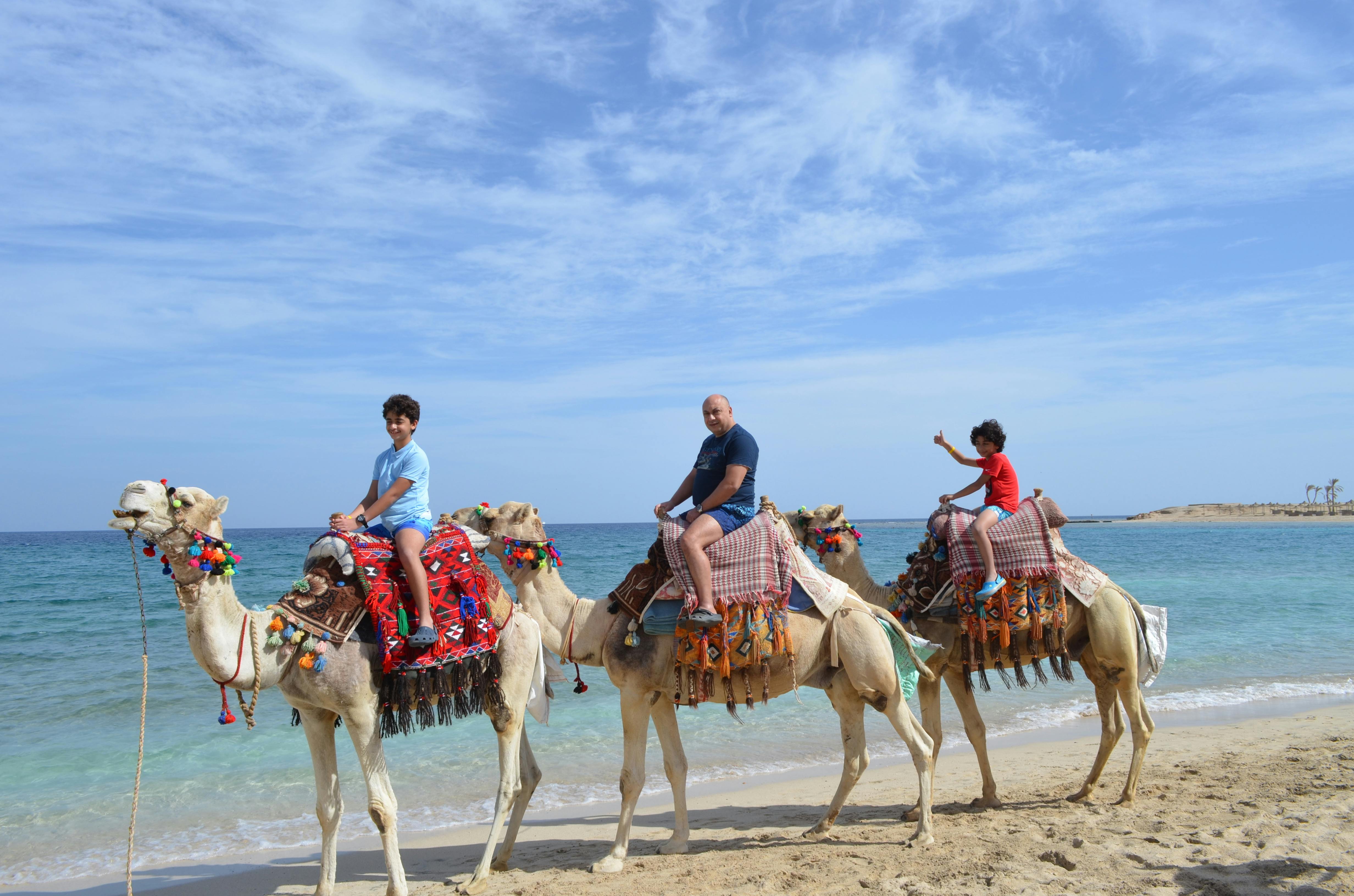 Winter In Egypt: A Guide For An Unforgettable Egyptian Experience This ...