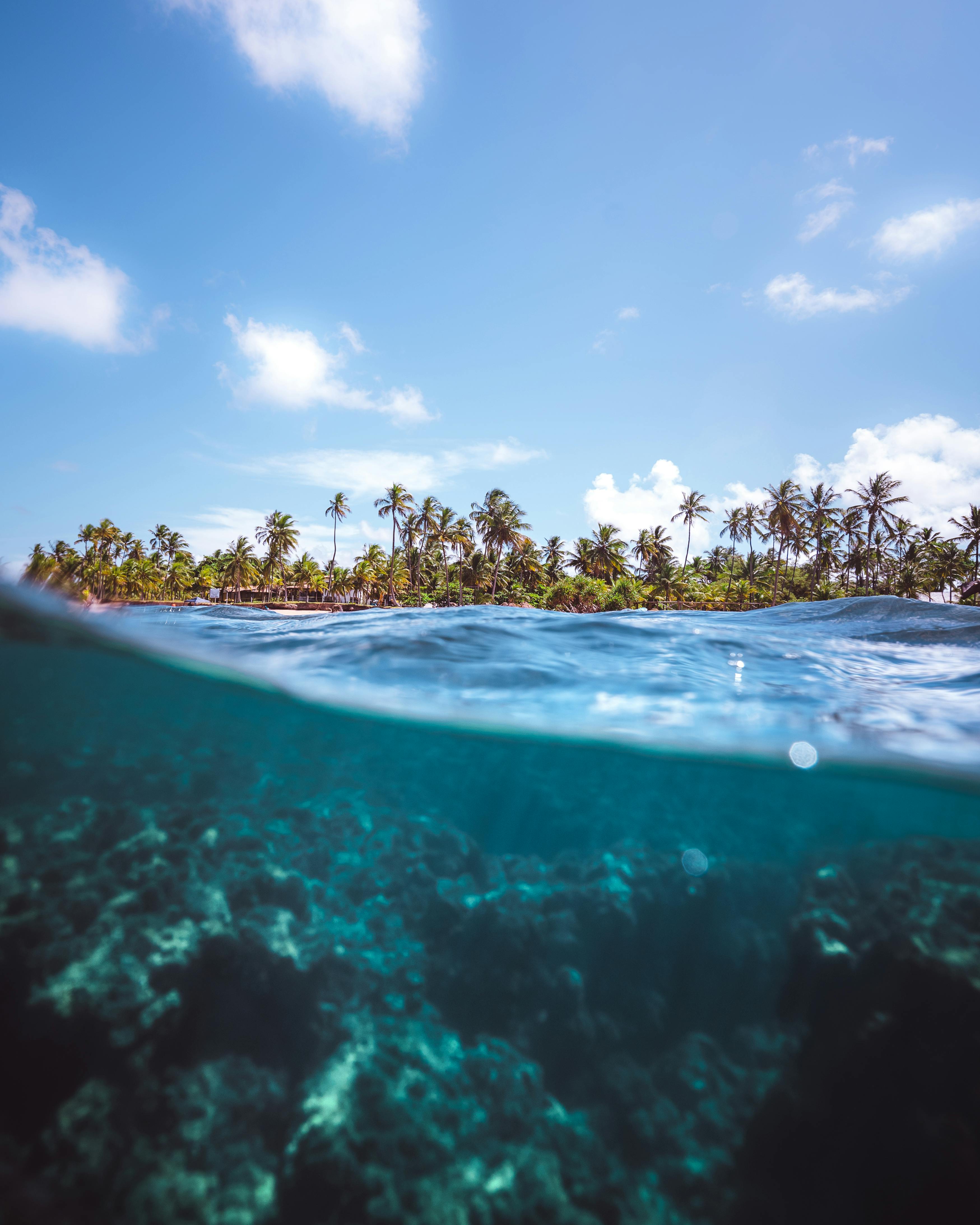 Water on Sea Shore · Free Stock Photo