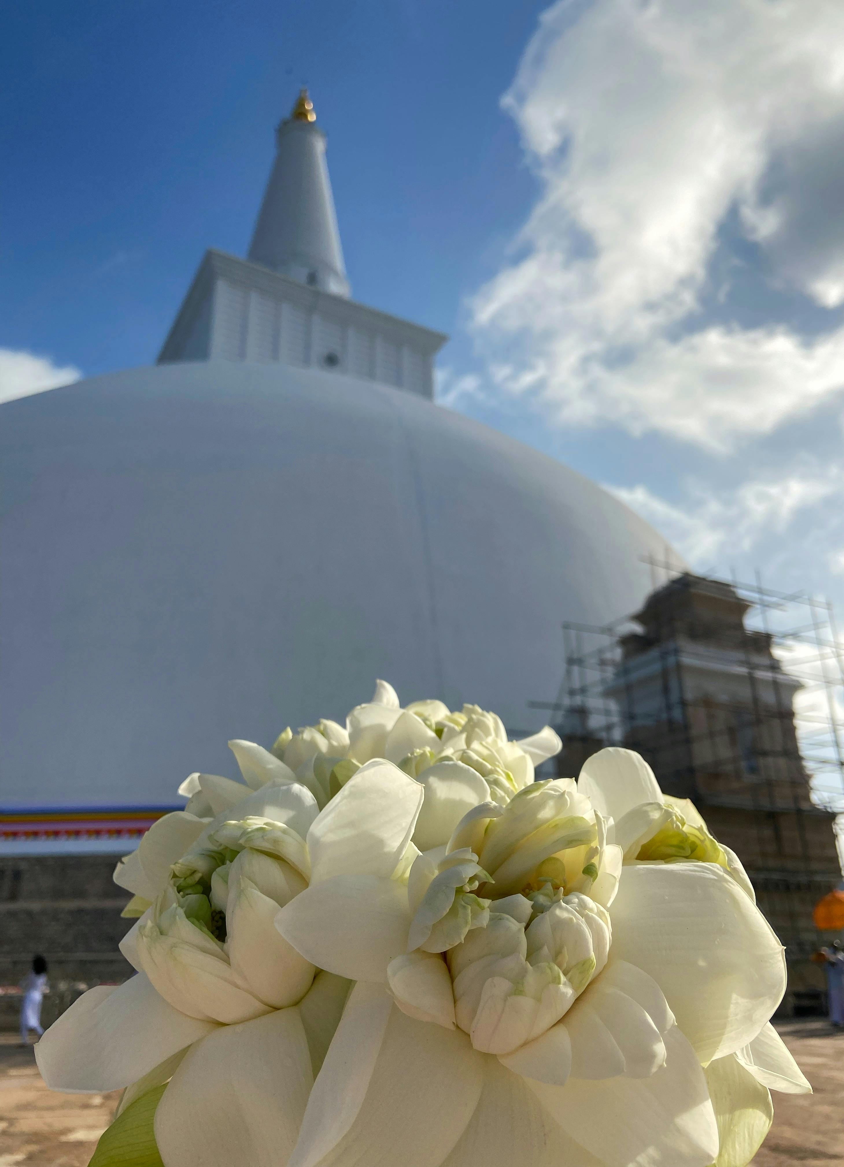 Janith Chanaka - 写真