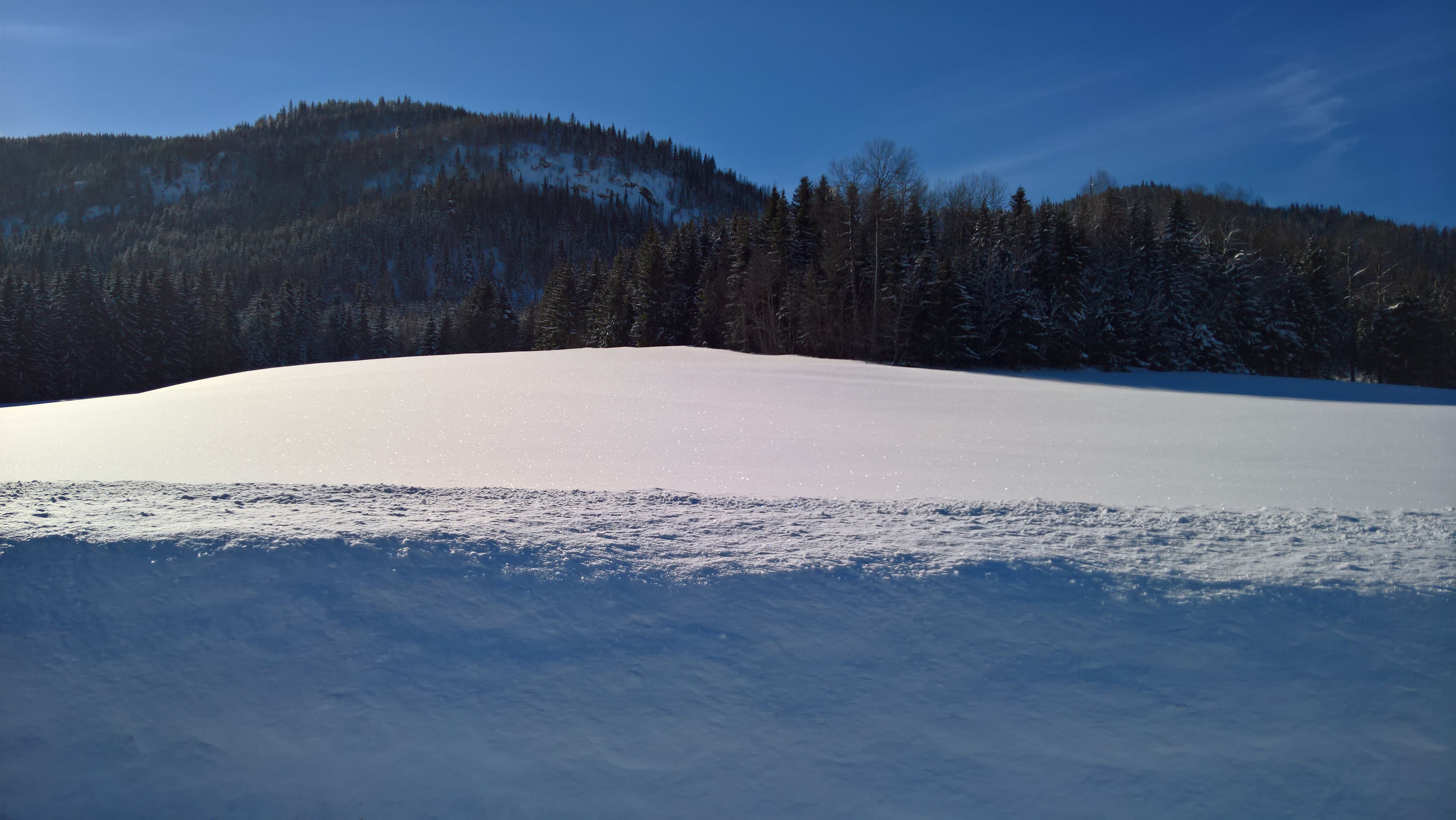 Free stock photo of eisig, frost, gras