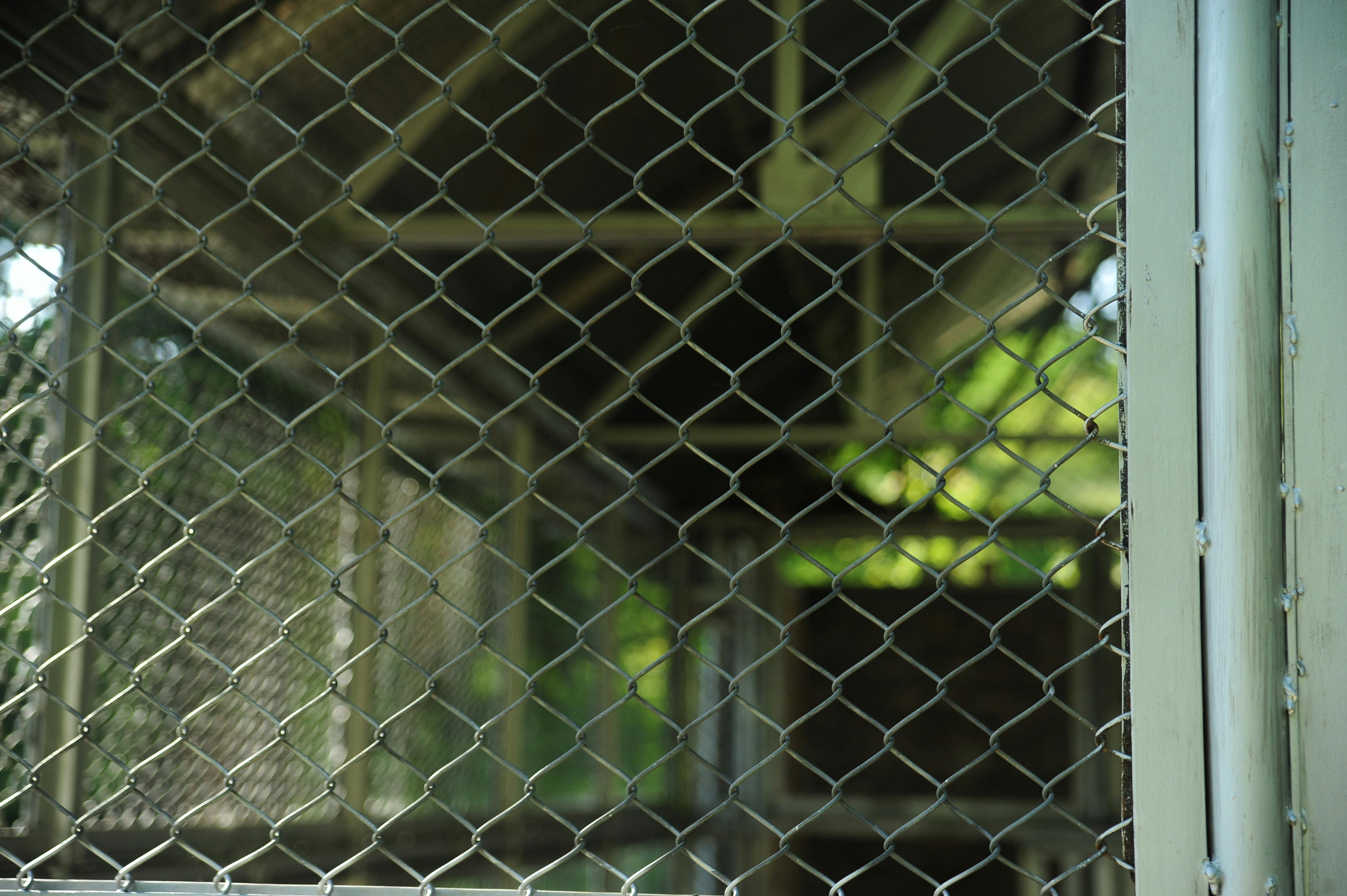 Zainab Noor - 사진