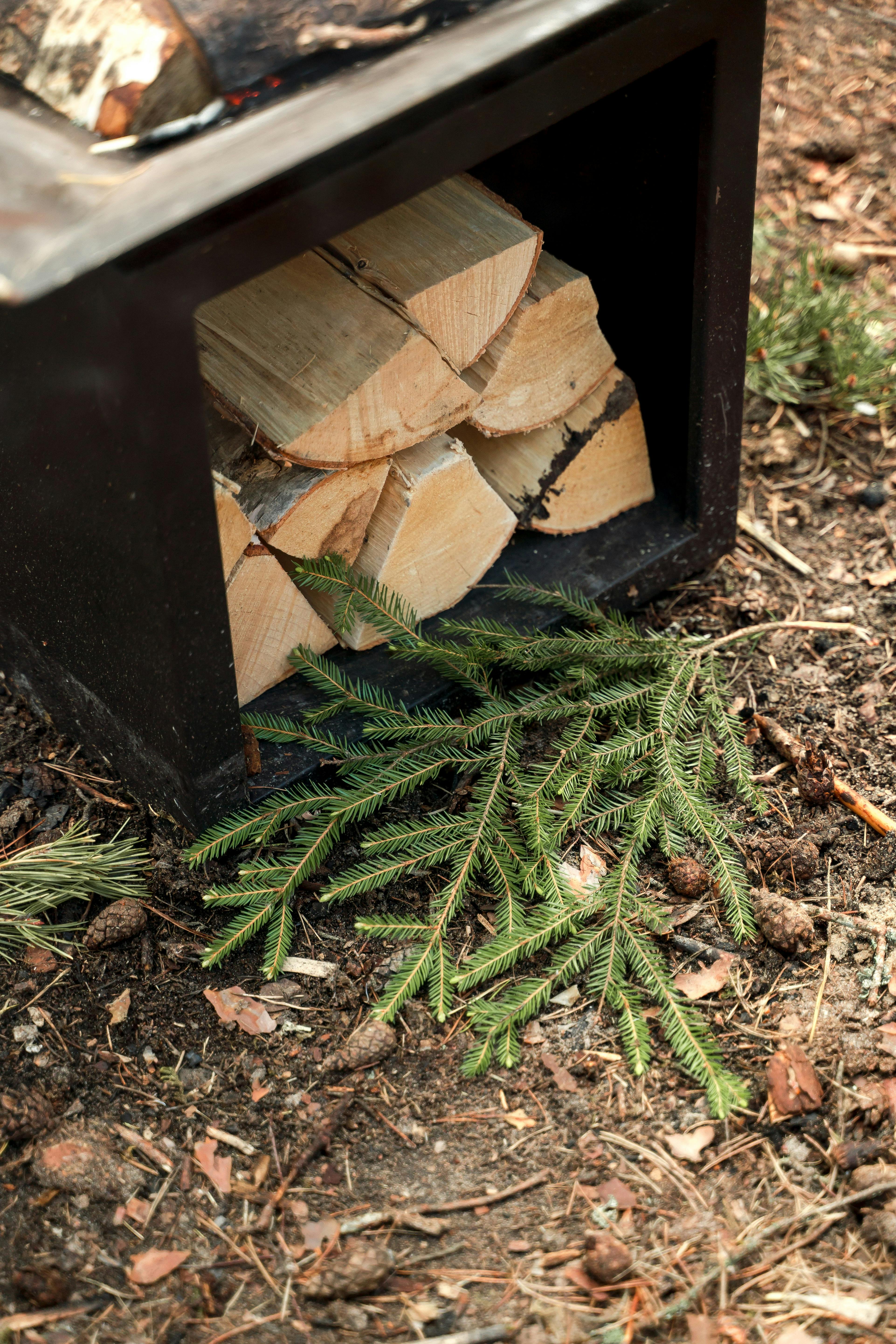 Stacked Wood in a Container · Free Stock Photo