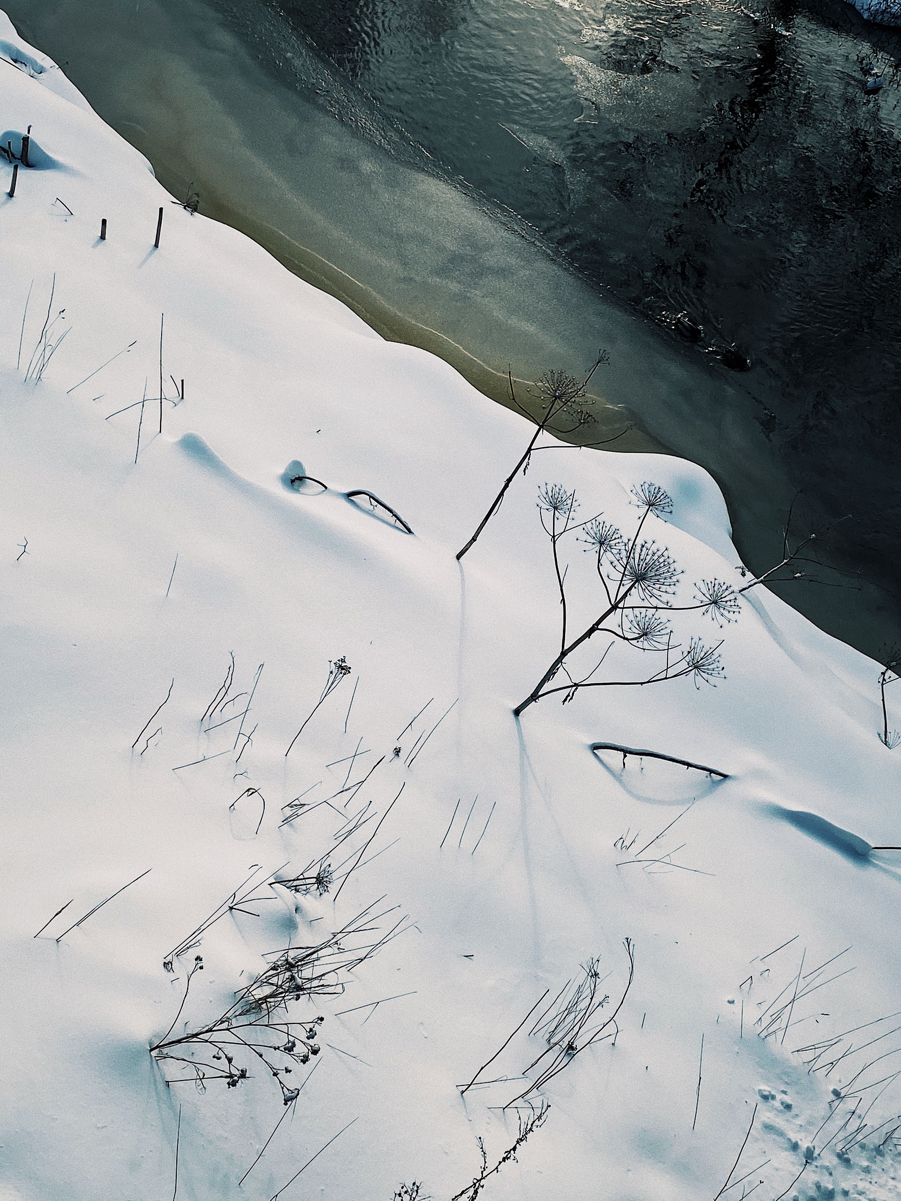 A Natural Light Cast on Snow Covered Ground · Free Stock Photo