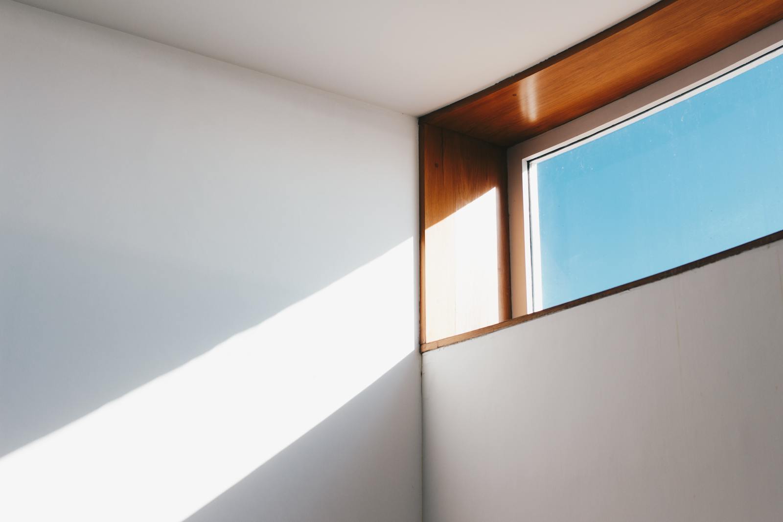 100,000+ Best Window Photos · 100% Free Download · Pexels Stock Photos