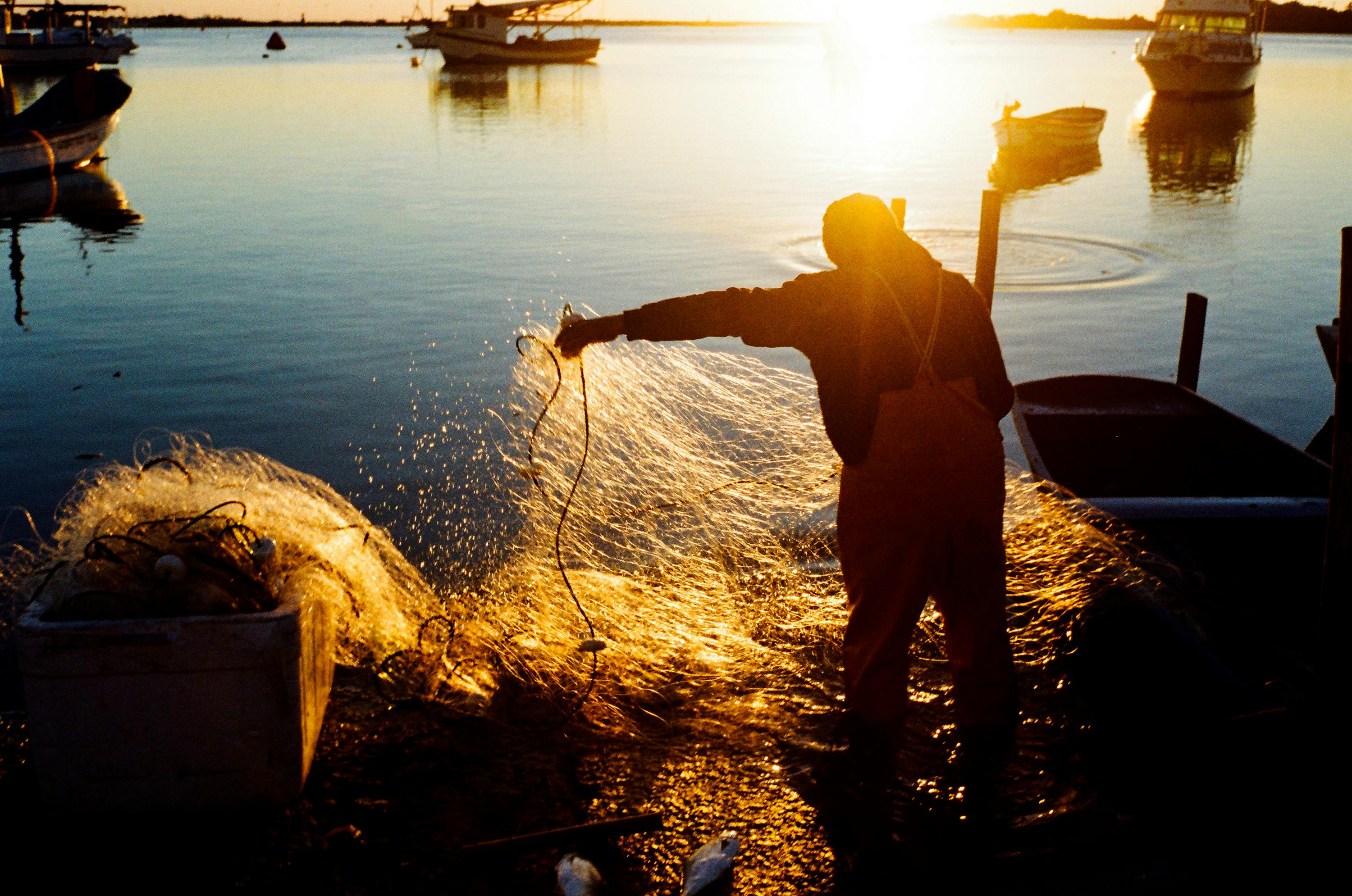 A Man Holding Fishing Net while Standing on Shore during Sunset · Free ...