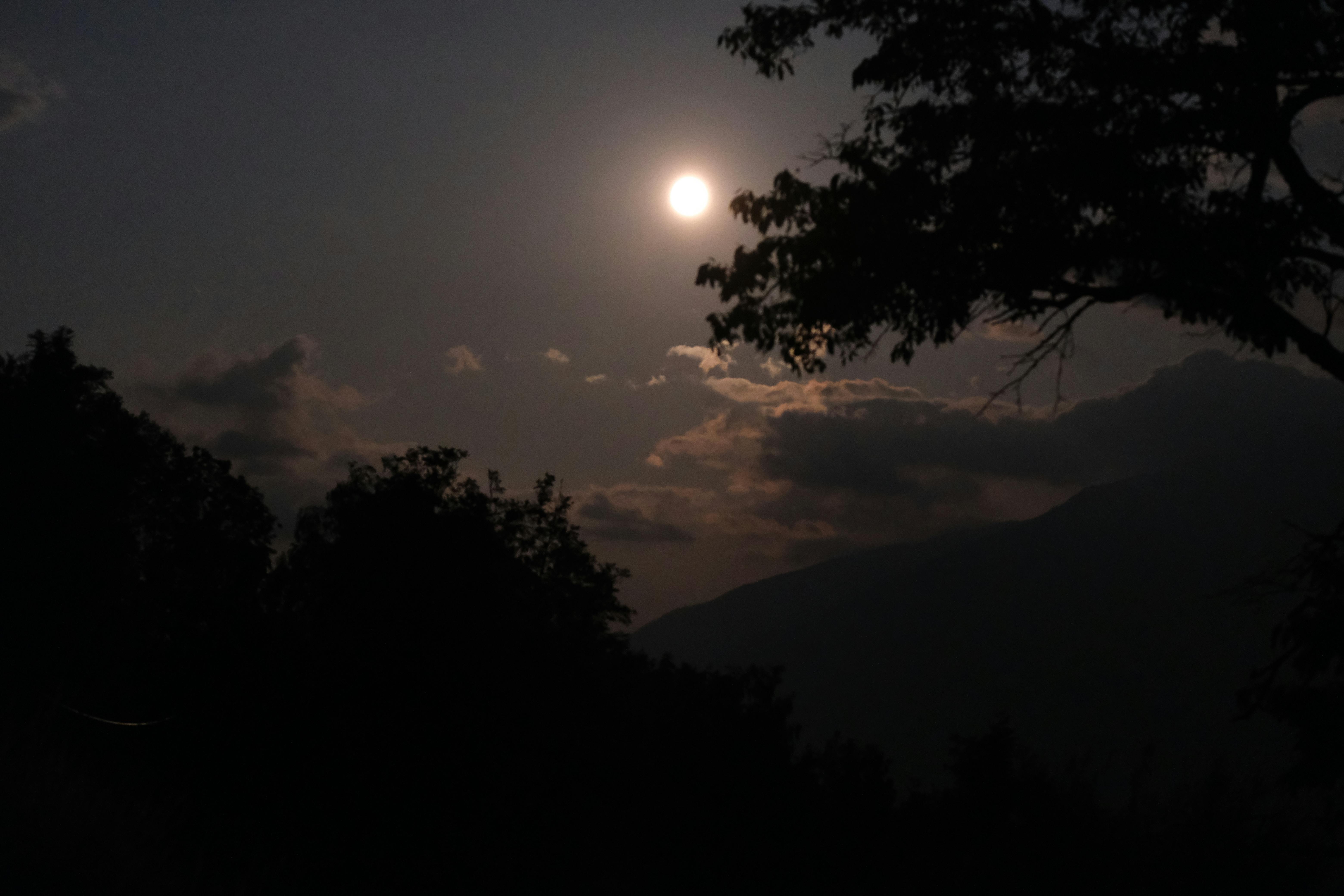 Jan Sperling - Fotografía