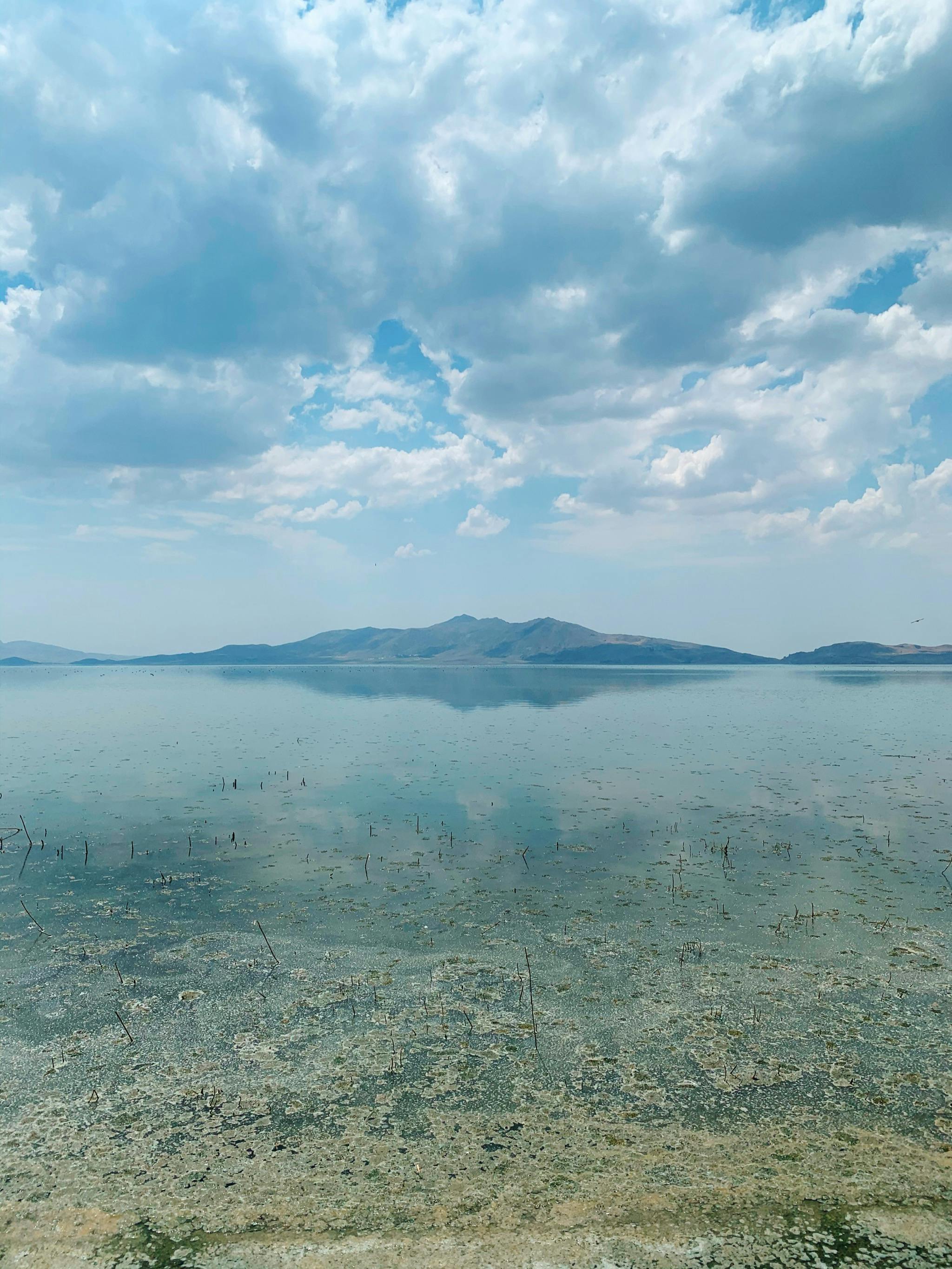 A Lake under a Cloudy Sky · Free Stock Photo