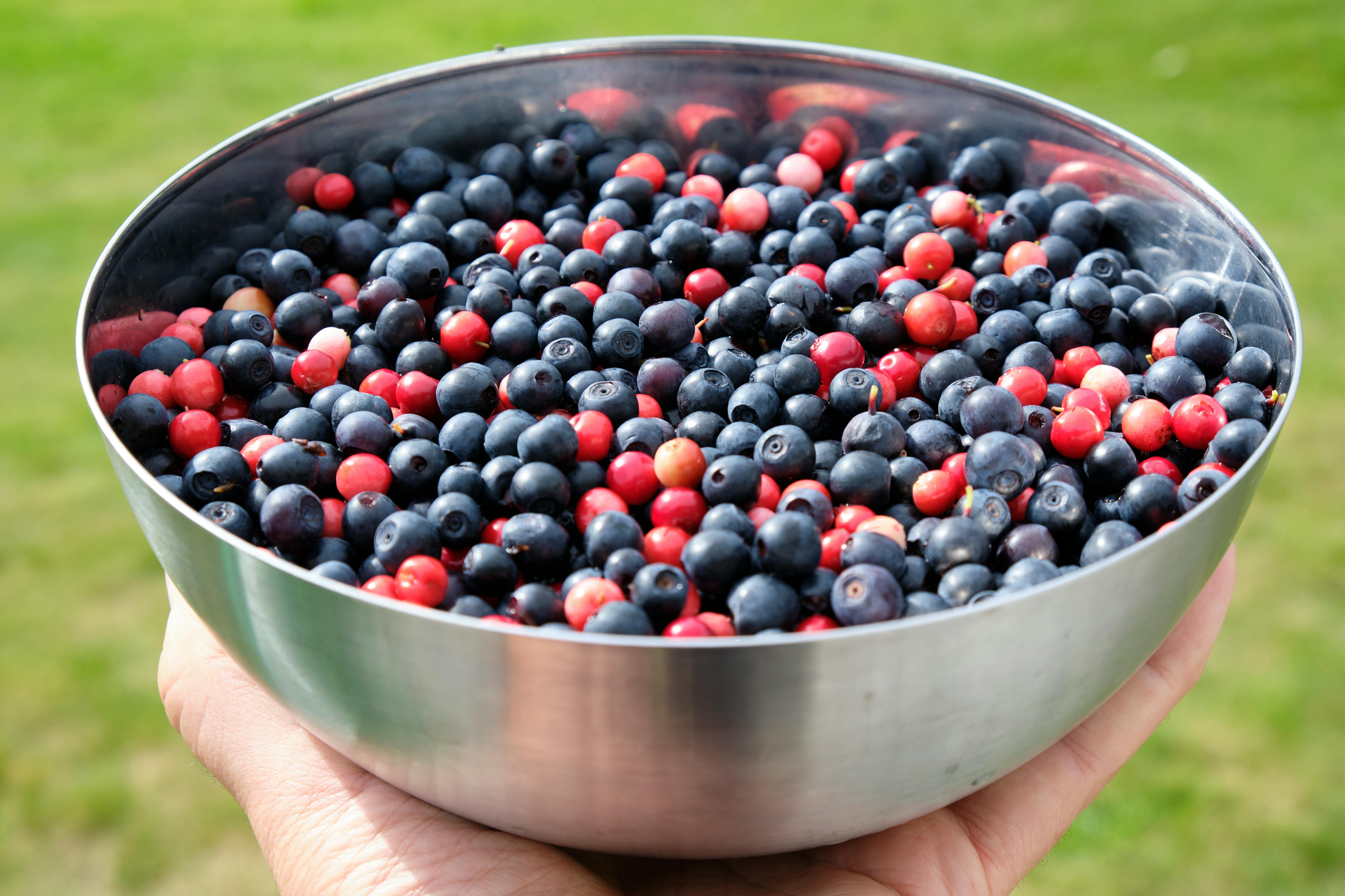 Close-Up Photography of Blueberries on Wooden Surface · Free Stock Photo