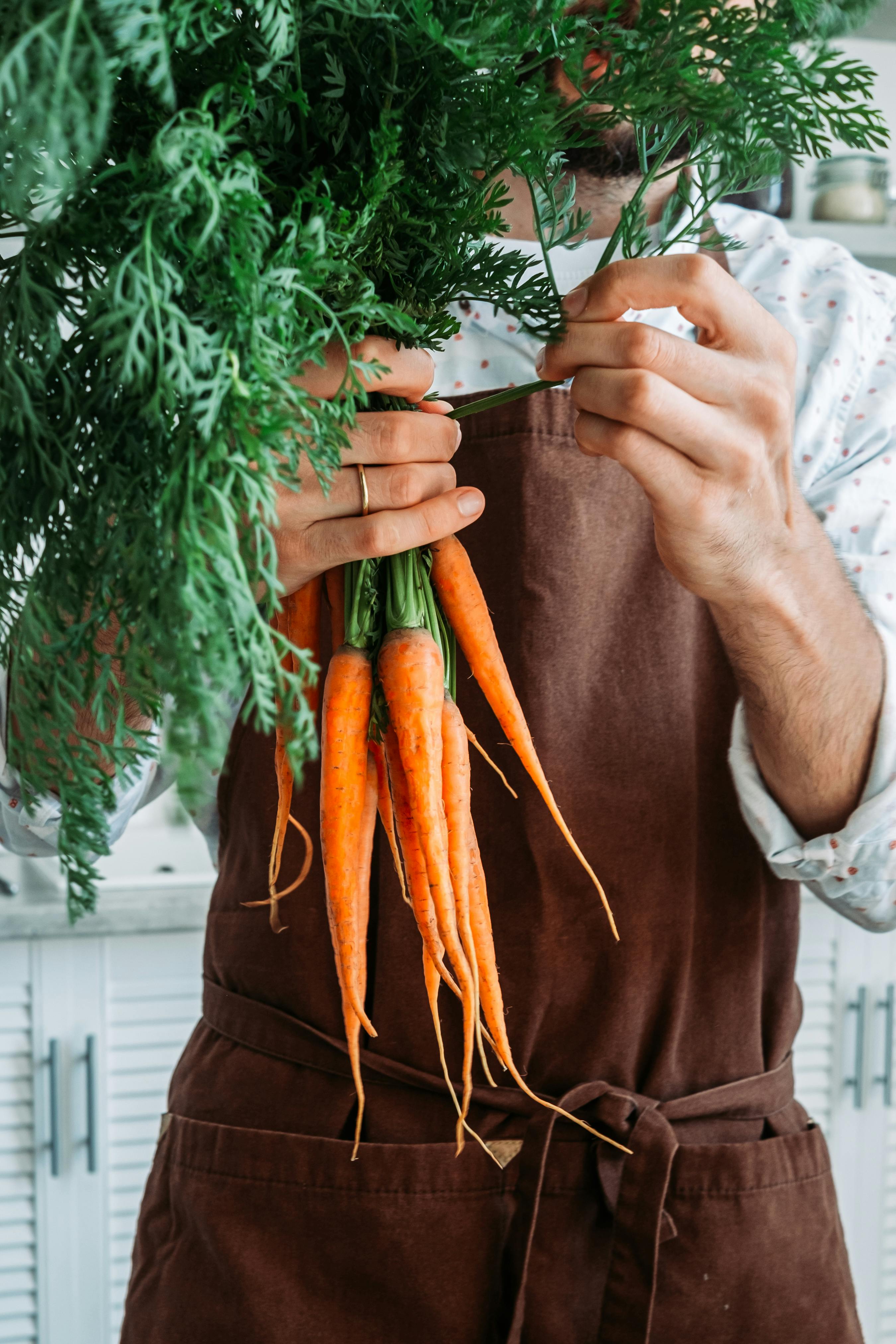 Close-up Photography of Orange Carrots · Free Stock Photo
