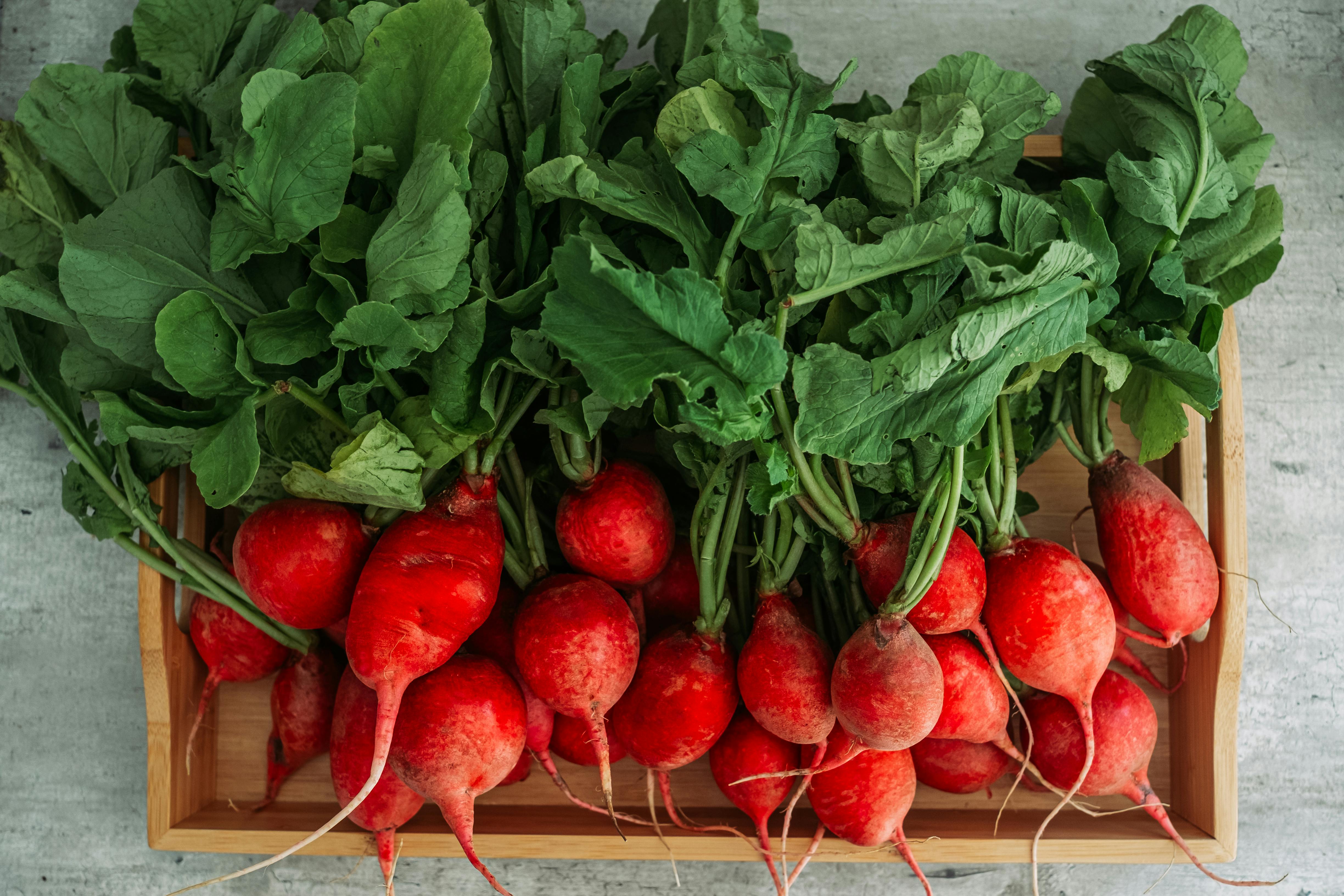 Fresh Red Radish on Brown Wooden Tray · Free Stock Photo