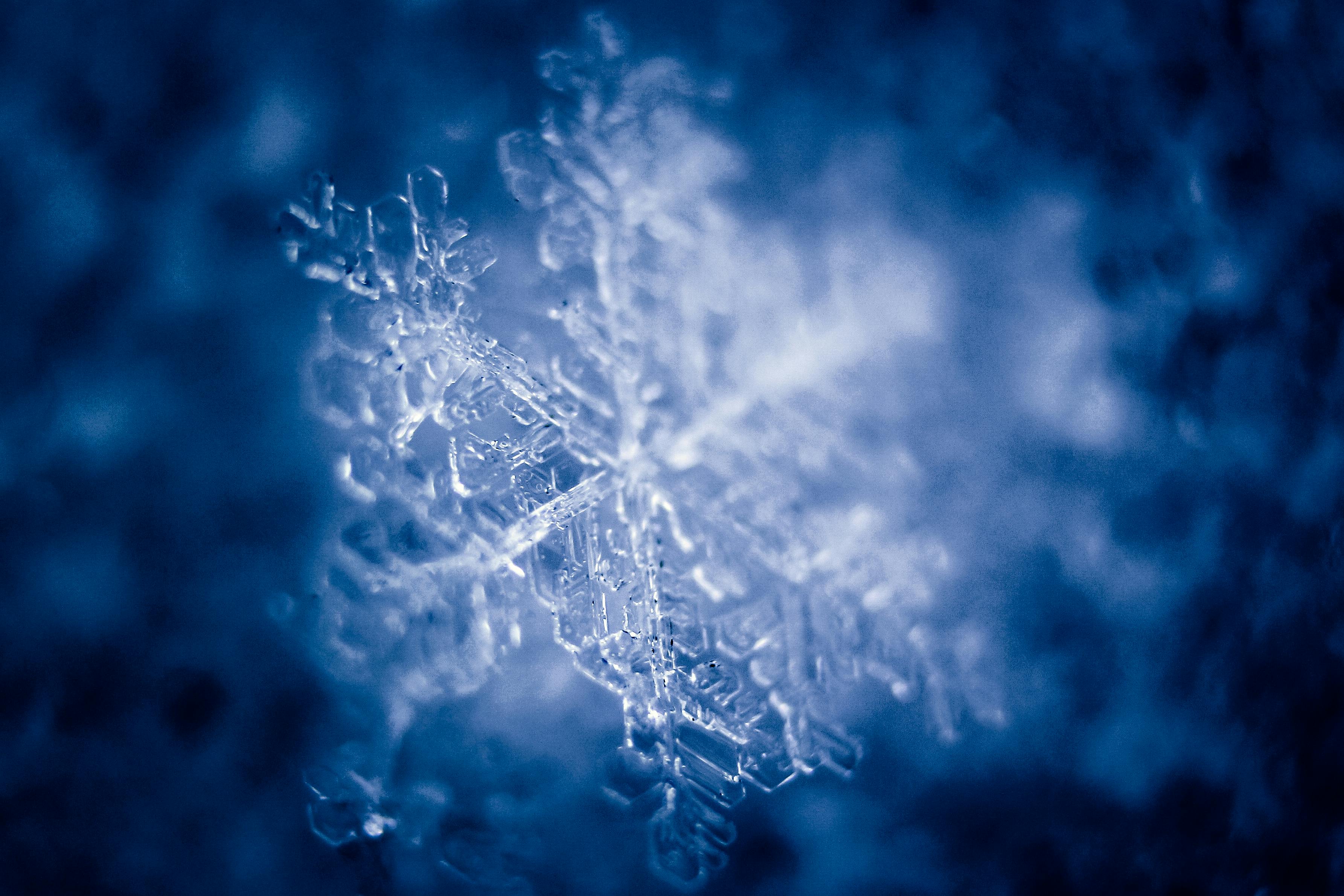 Close-Up Shot of a Snowflake · Free Stock Photo