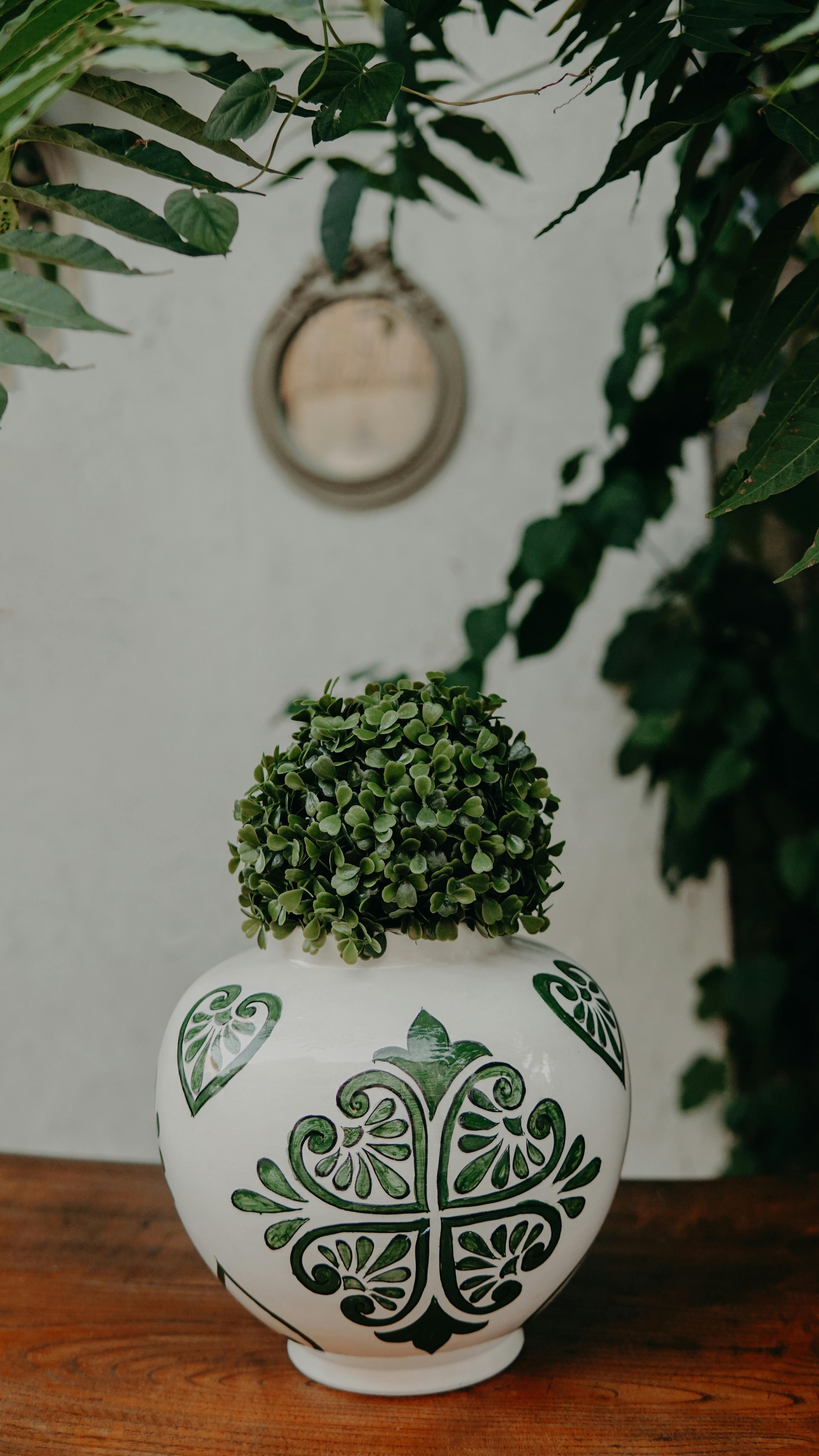 Green Plant on White and Green Floral Ceramic Vase · Free Stock Photo