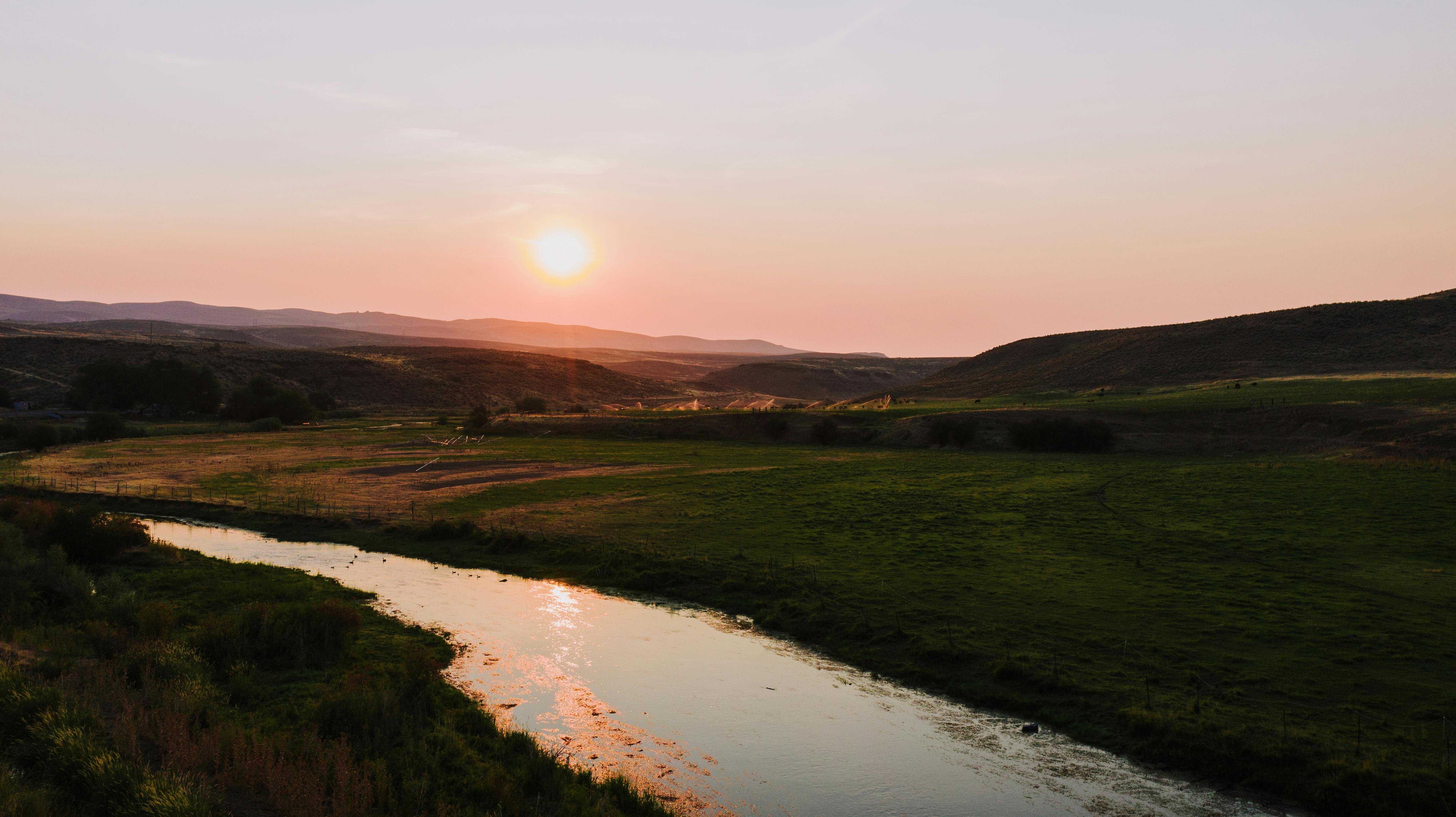 A Stream Between Grass Field · Free Stock Photo