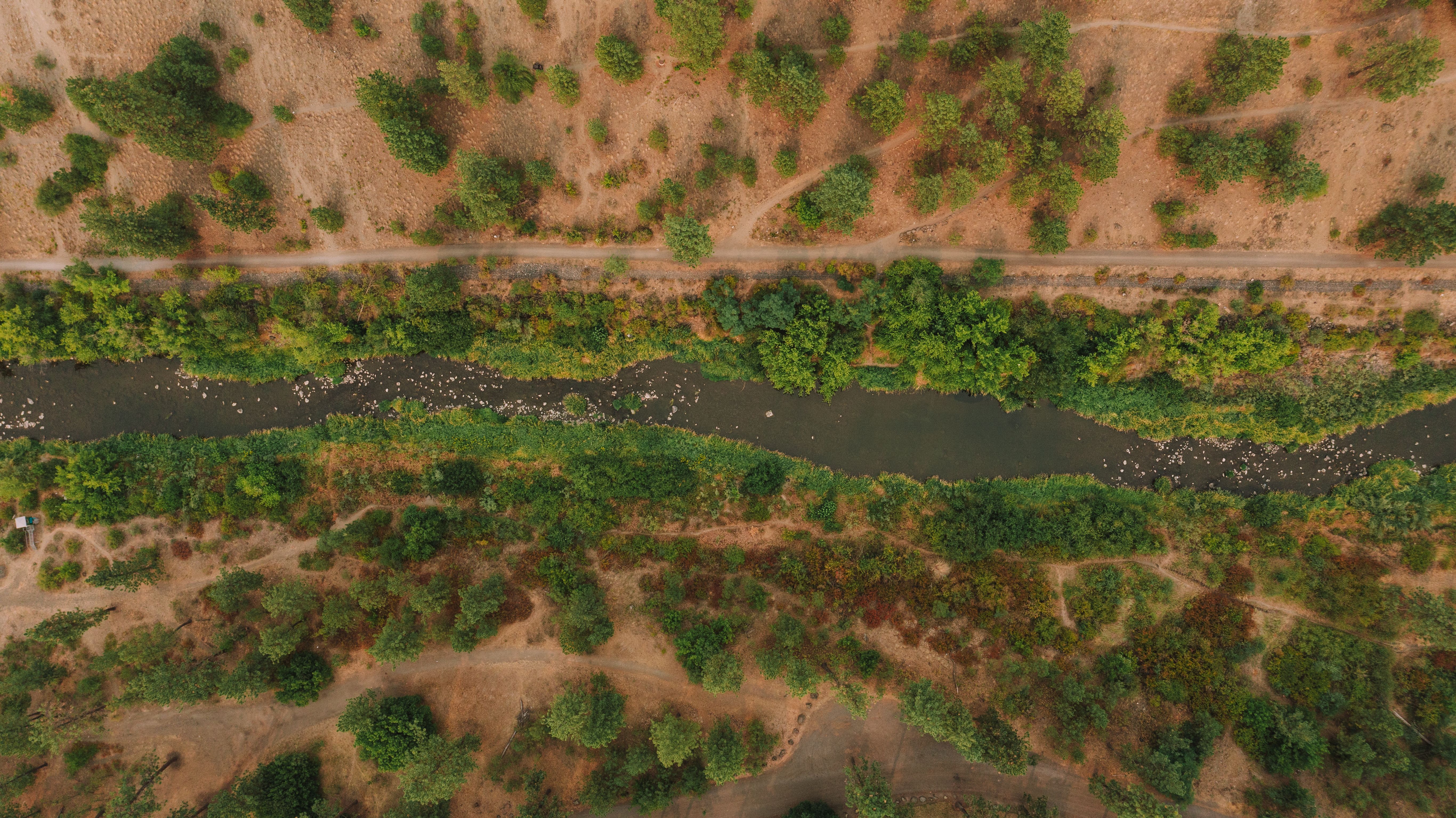 Trees around River · Free Stock Photo