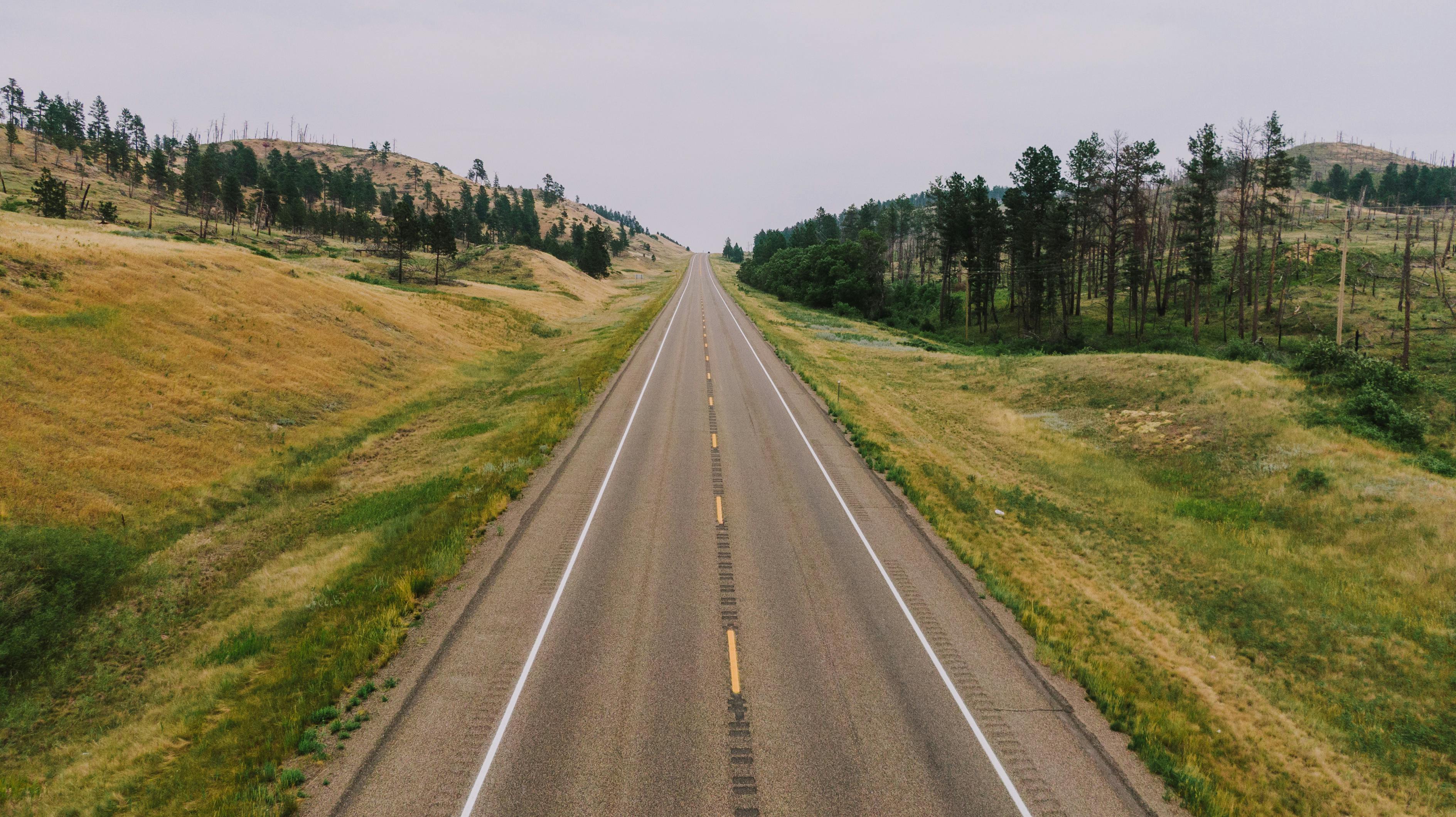 Long Empty Road Between Grass Field · Free Stock Photo