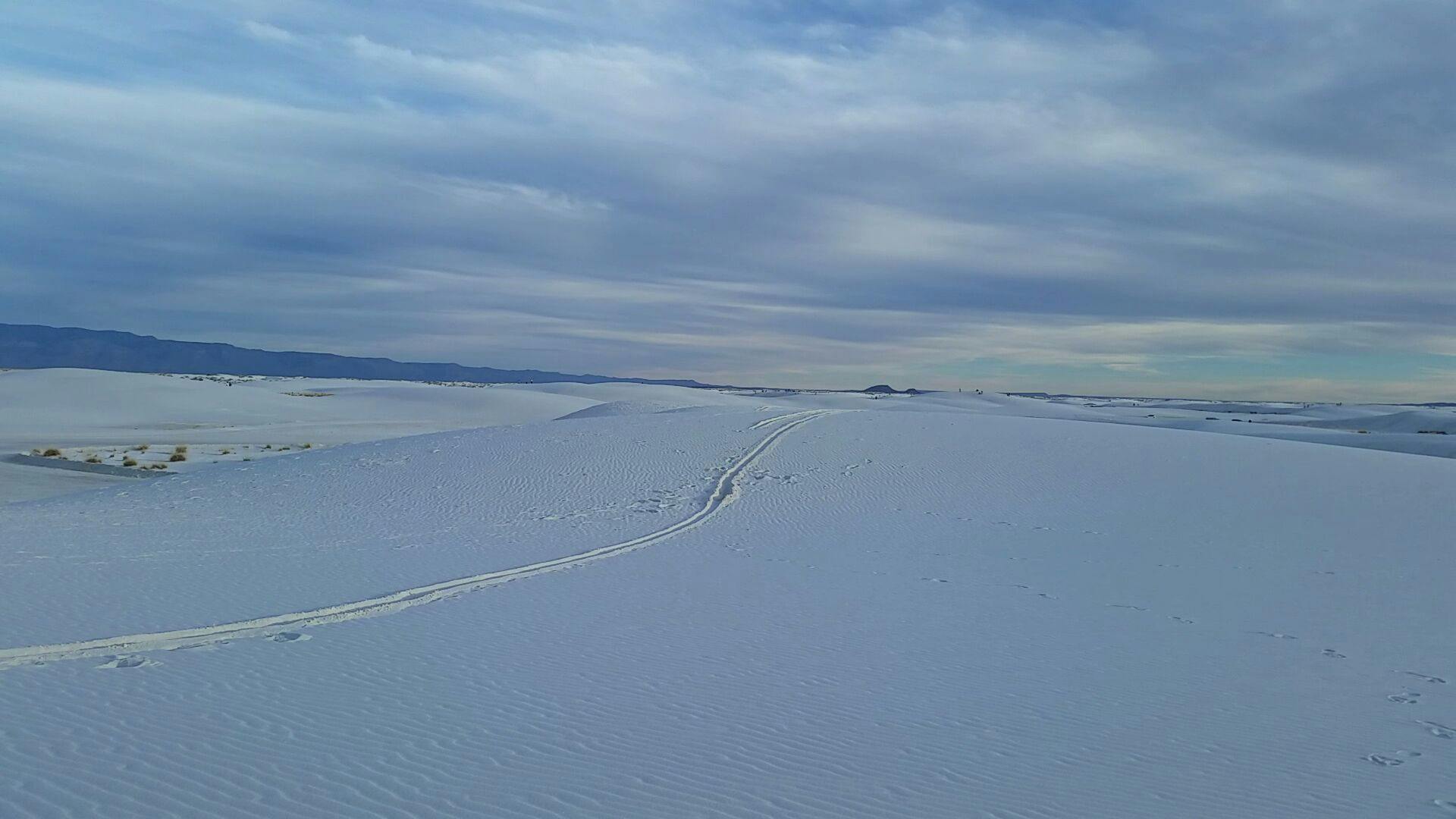 Free stock photo of desert, peaceful, sand trail
