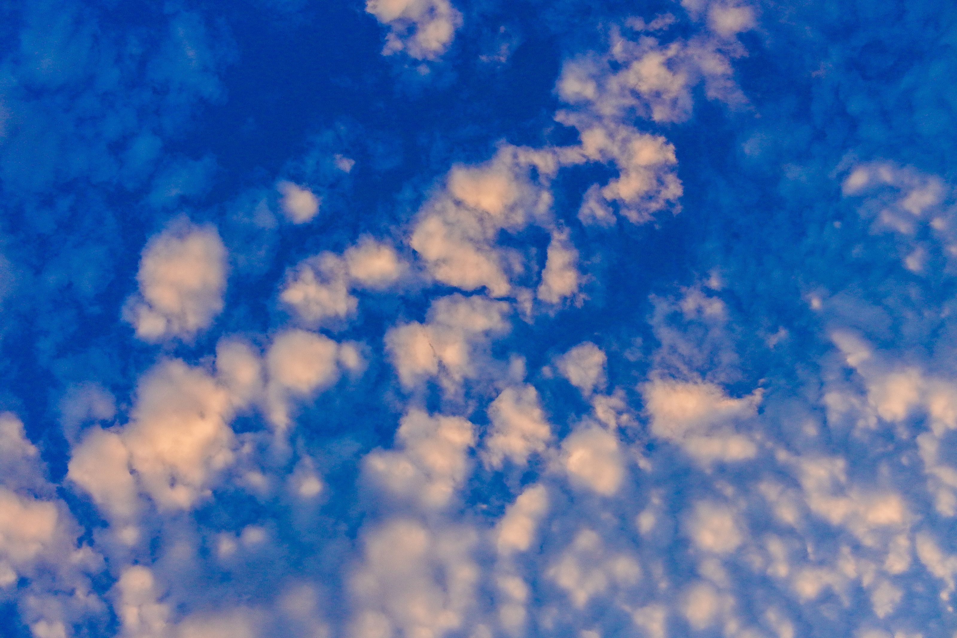 Blue Skies · Free Stock Photo