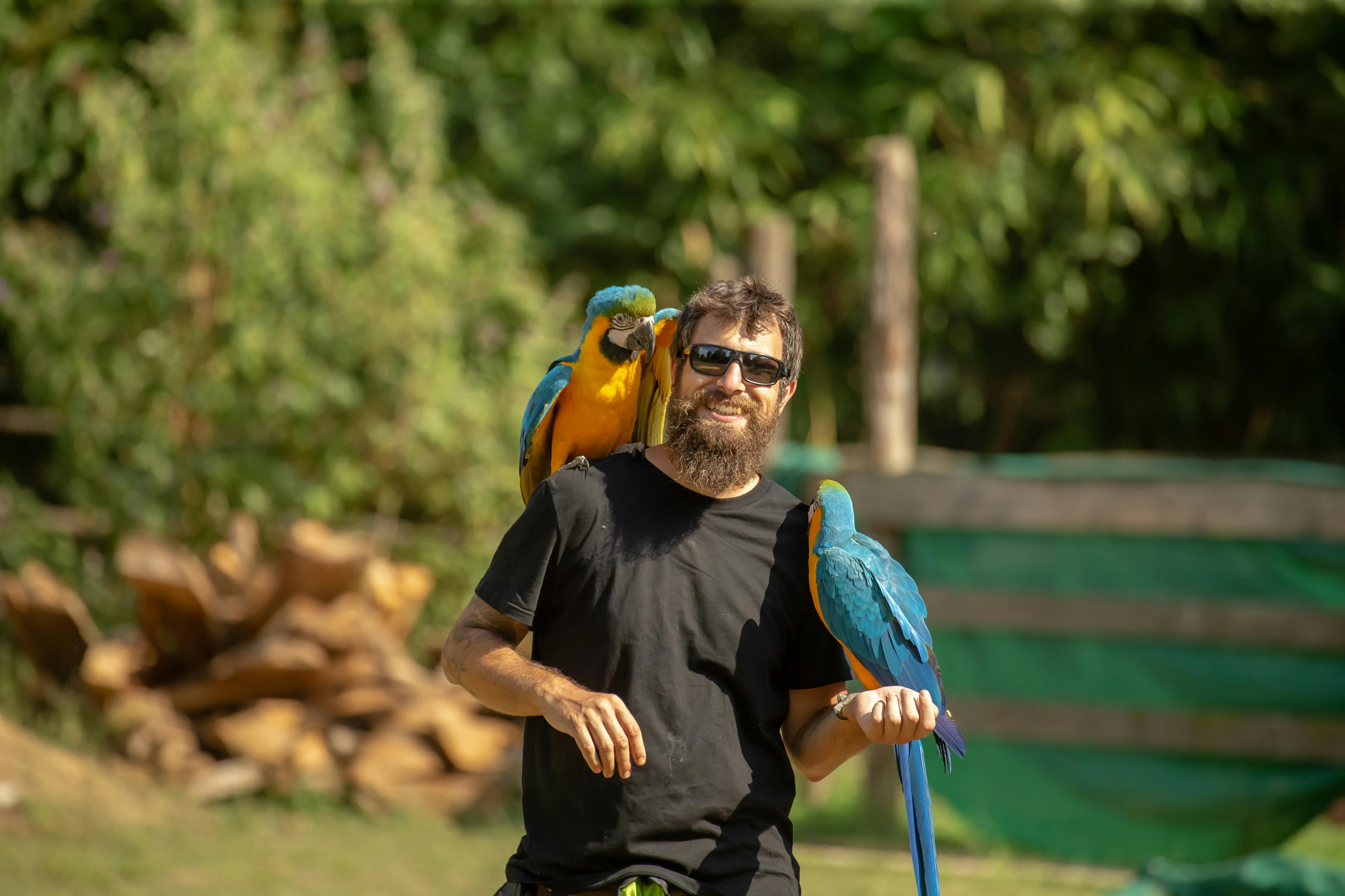 Macaw And Person Photos, Download The BEST Free Macaw And Person Stock ...