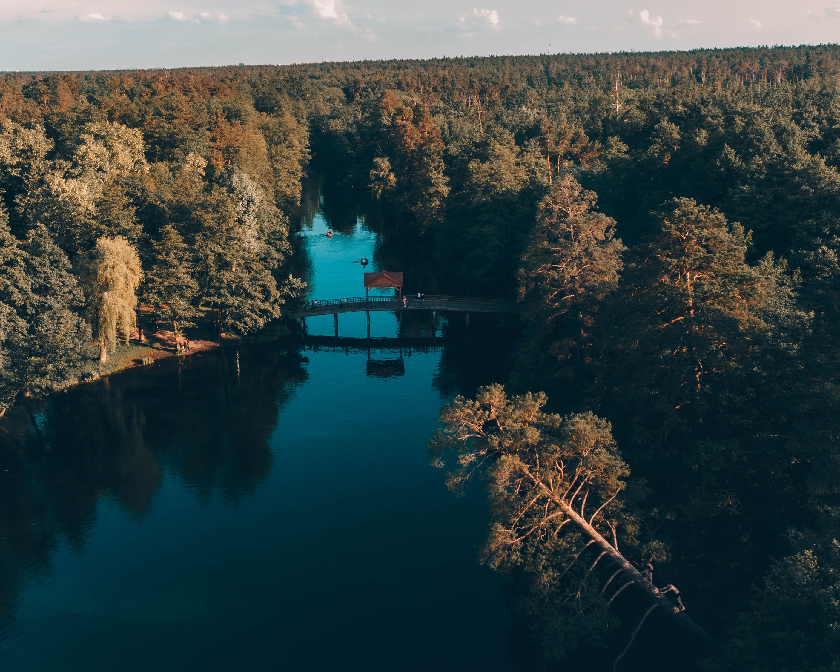 Aerial View of River in Between Green Trees · Free Stock Photo