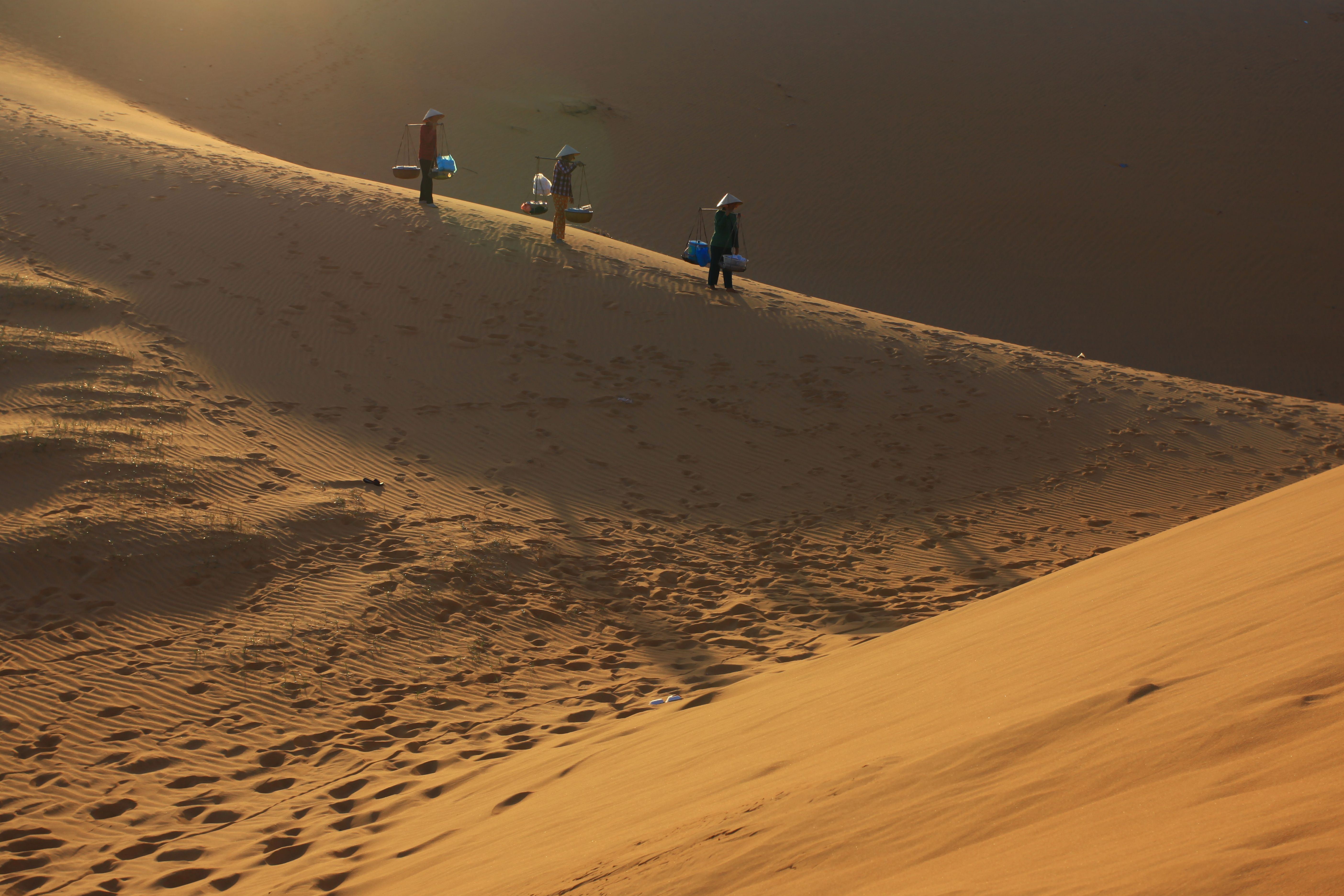 People Walking on Sand Dunes · Free Stock Photo