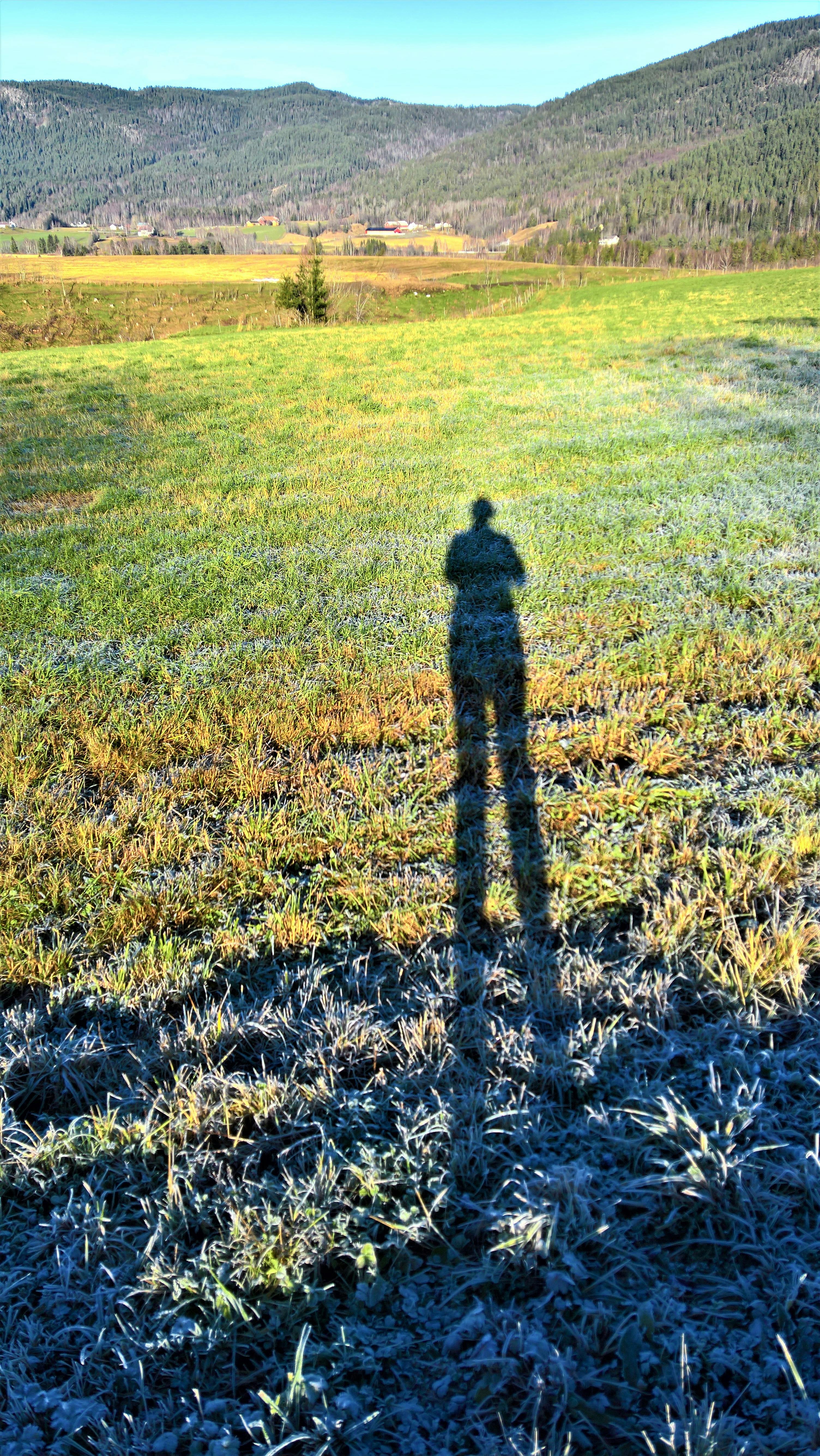 Landscape Photo of Green Grass Field · Free Stock Photo