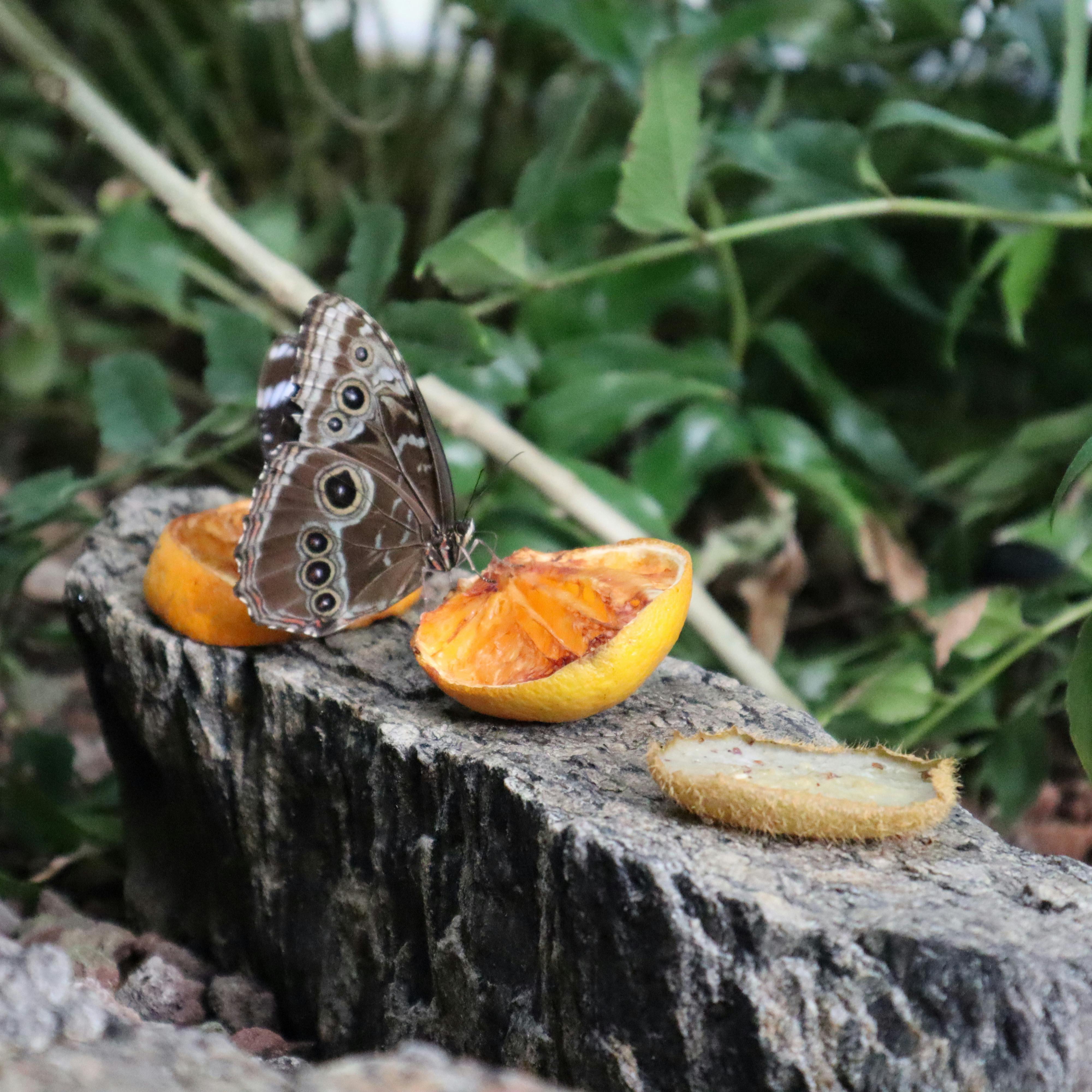 Nature 14 Photos & Videos Collected by Giulia