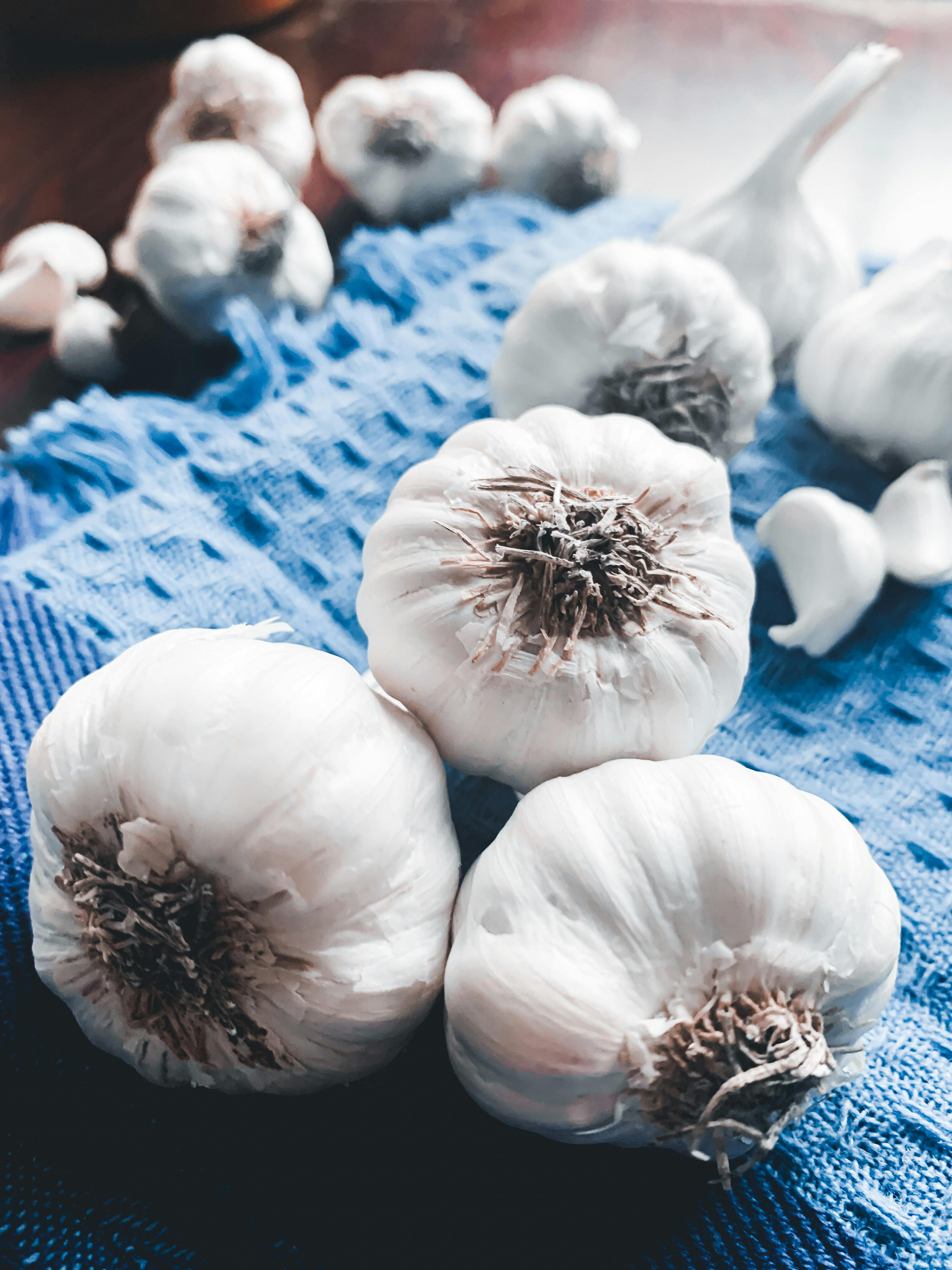 Close up of Garlic · Free Stock Photo