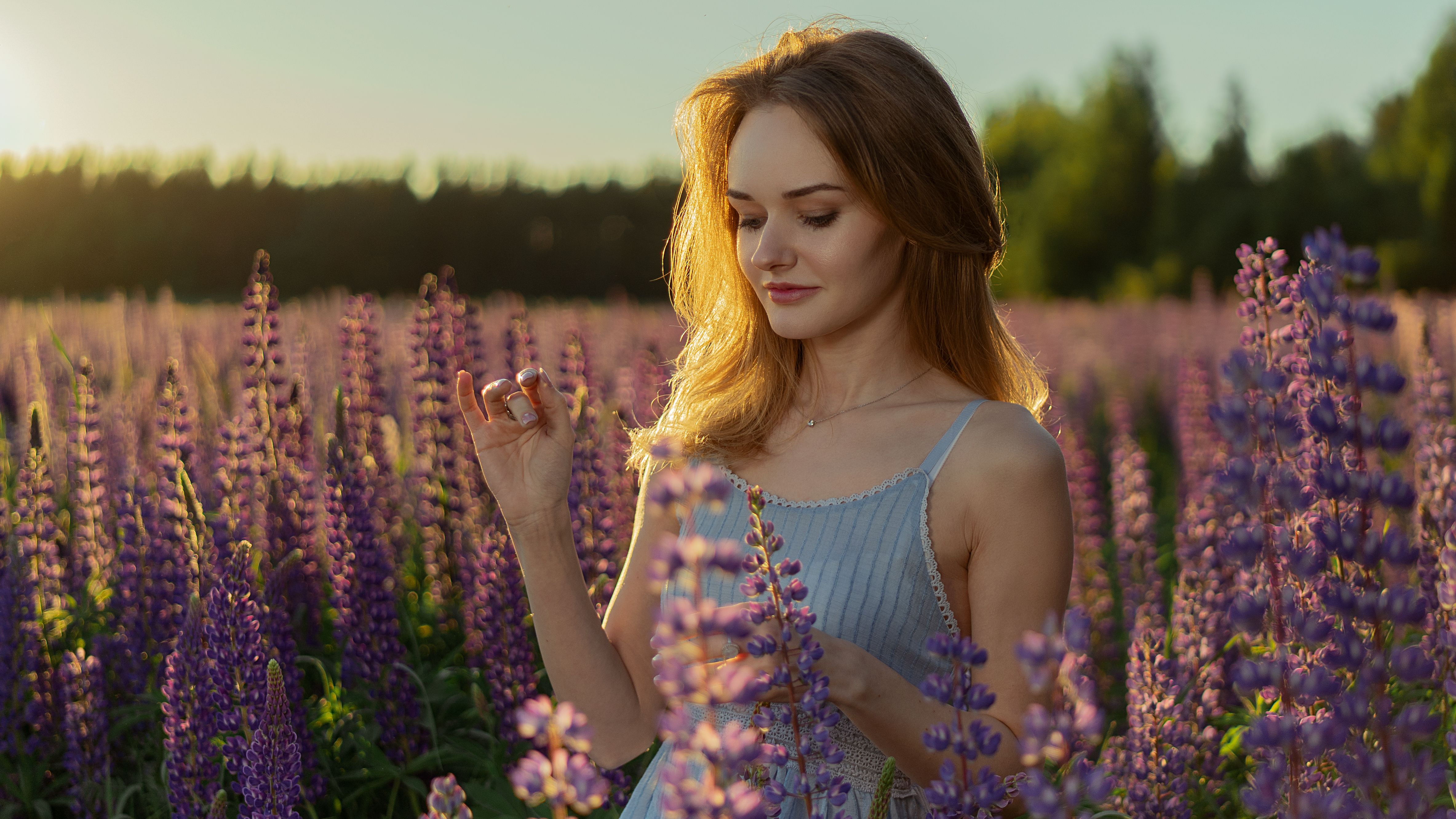 A Woman in a Lavender Field · Free Stock Photo