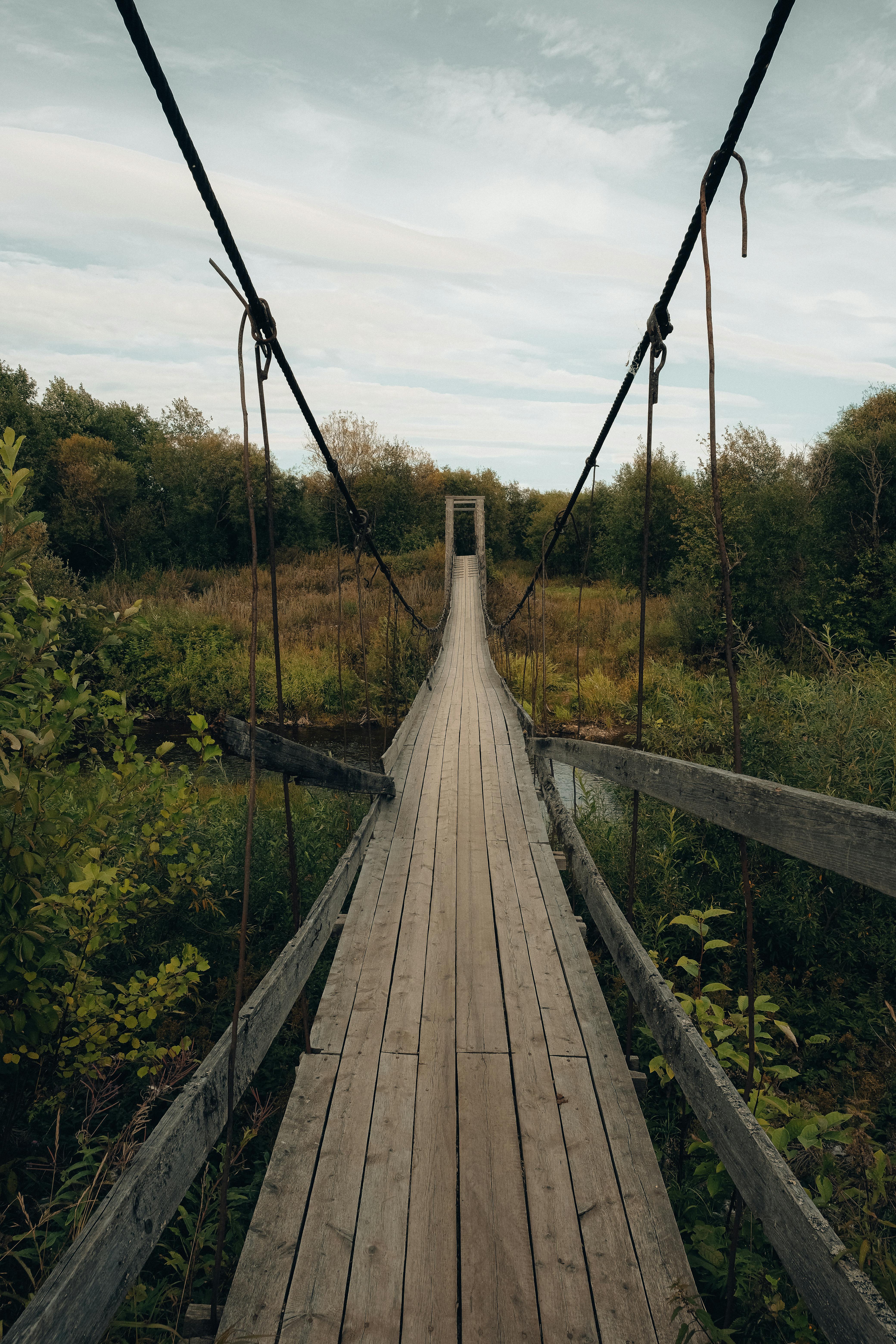 Brown Wooden Hanging Bridge in the Forest · Free Stock Photo