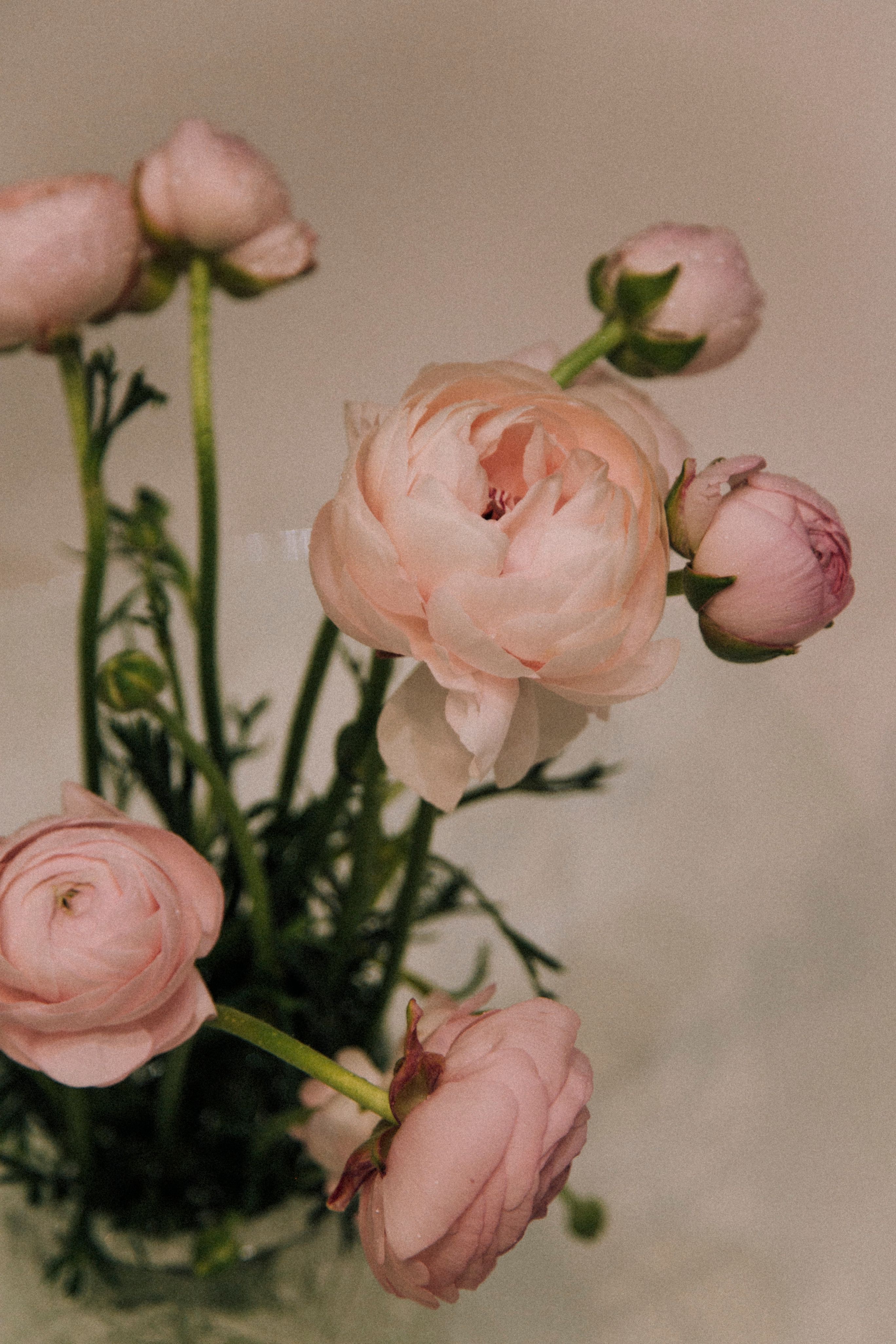 A Stem of Flowers on a Round Wooden Block · Free Stock Photo