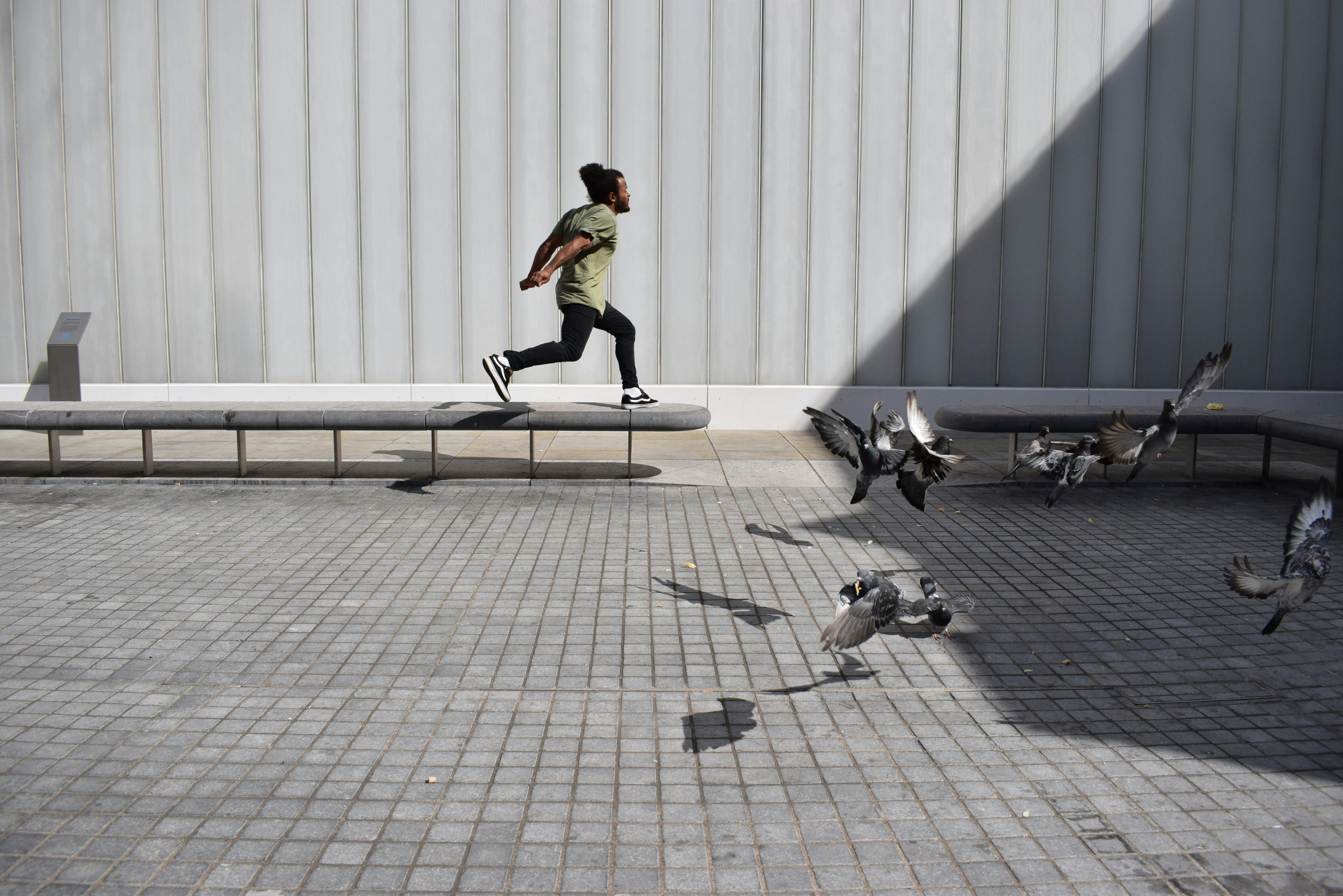 A Man Running on a Concrete Bench Near Pigeons · Free Stock Photo
