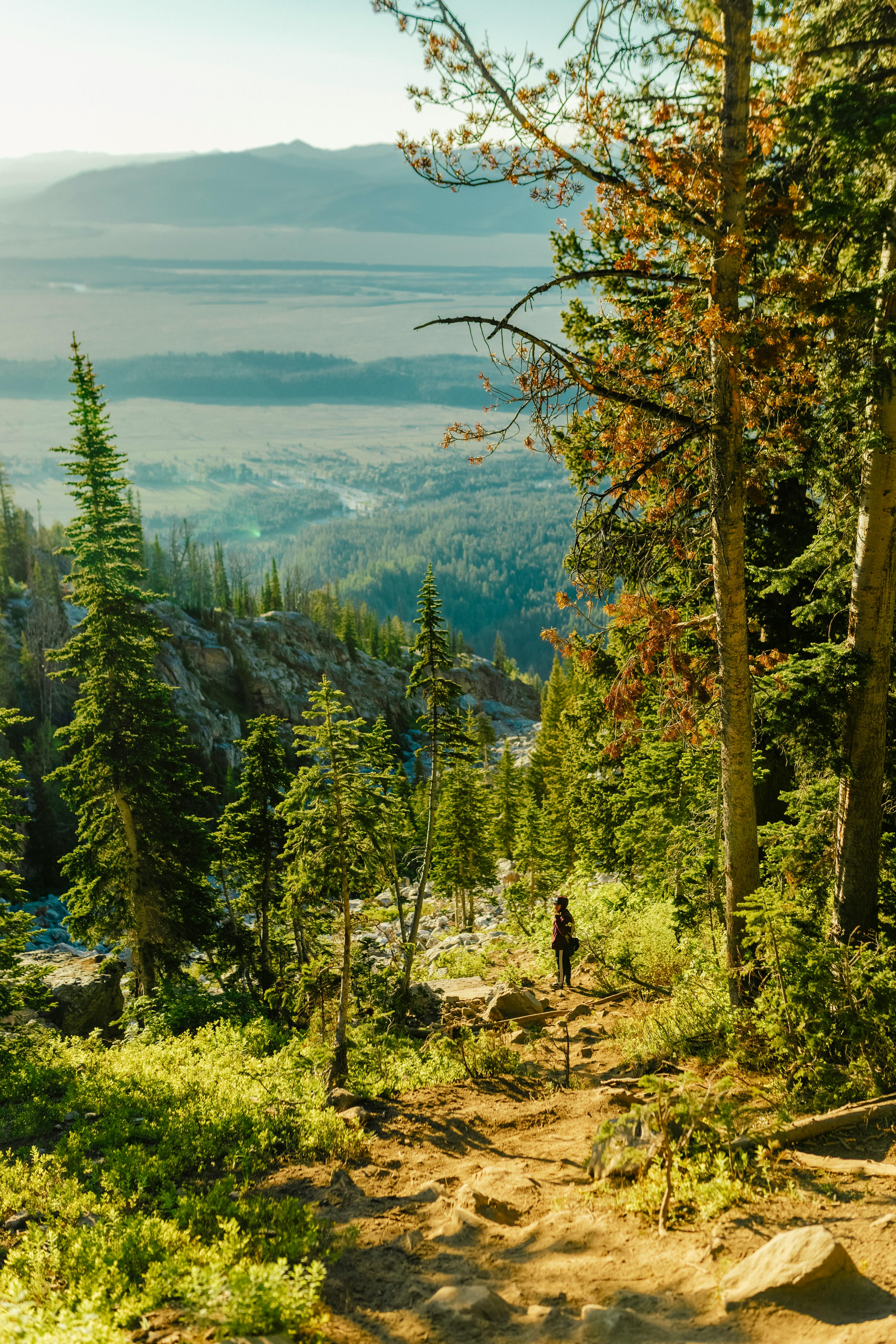 Beautiful Landscape From a Hiking Trail · Free Stock Photo