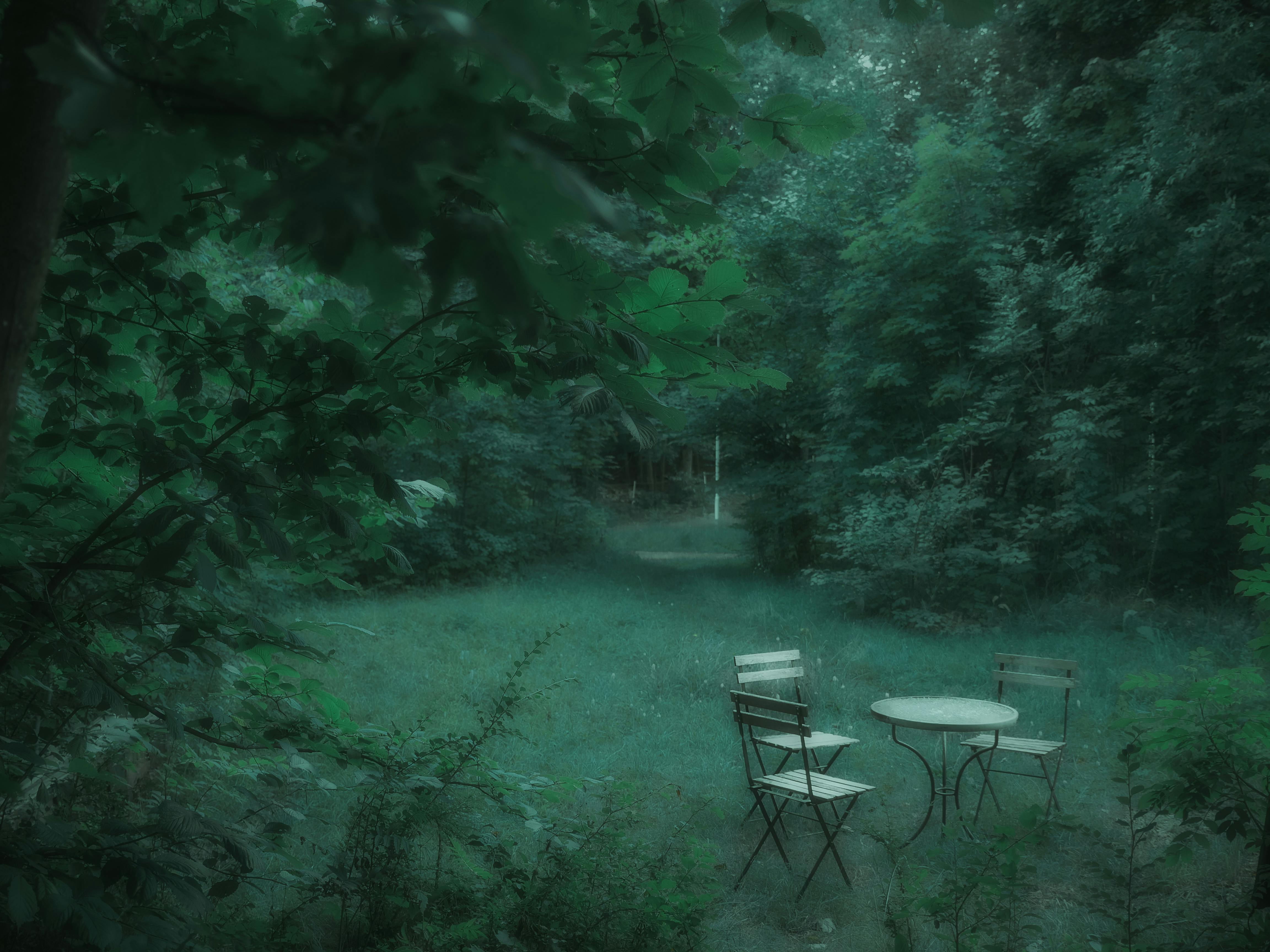 Wood Table Green Screen Background Photos, Download The BEST Free Wood ...