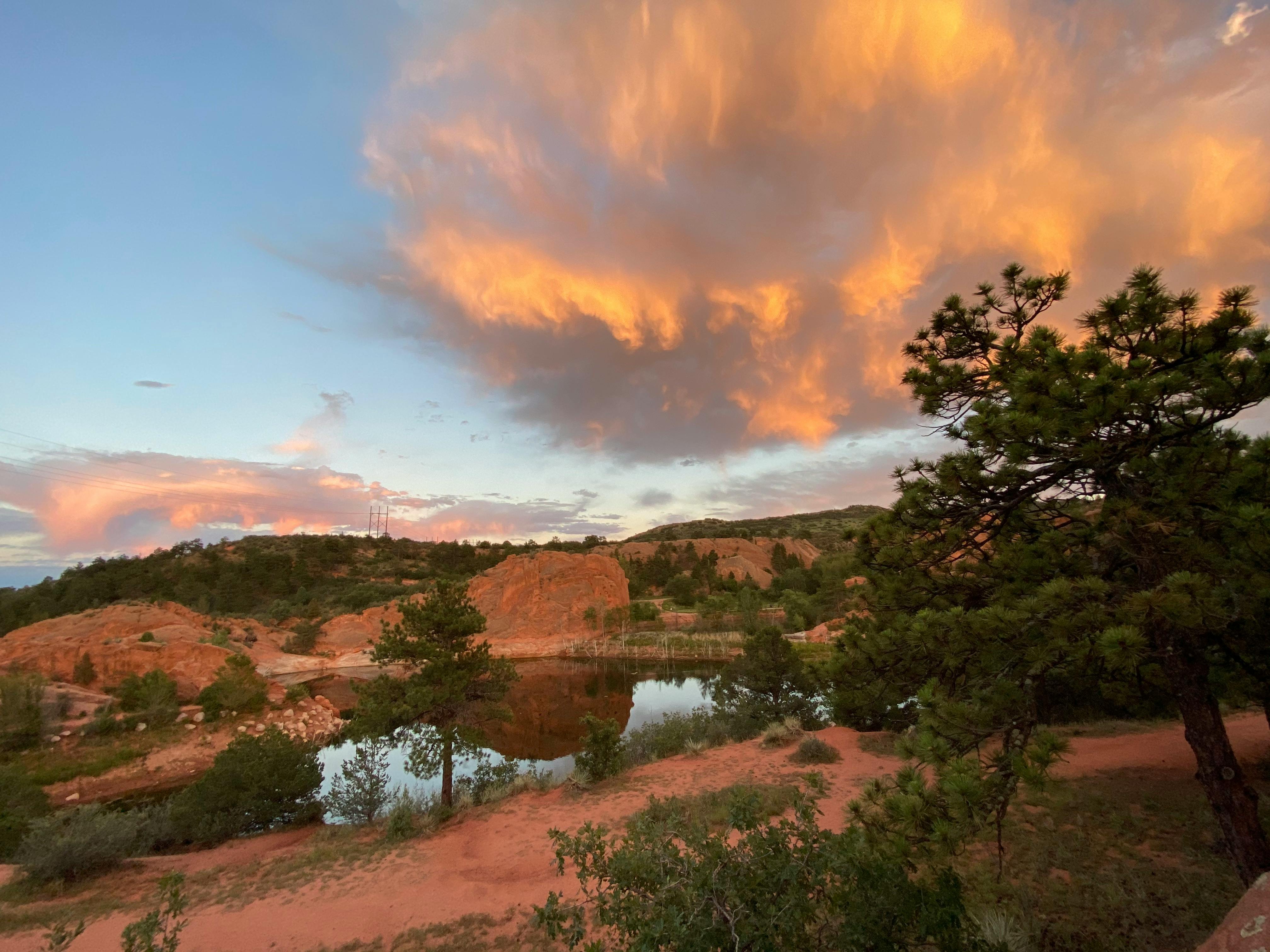 Dylan Jackson - 사진