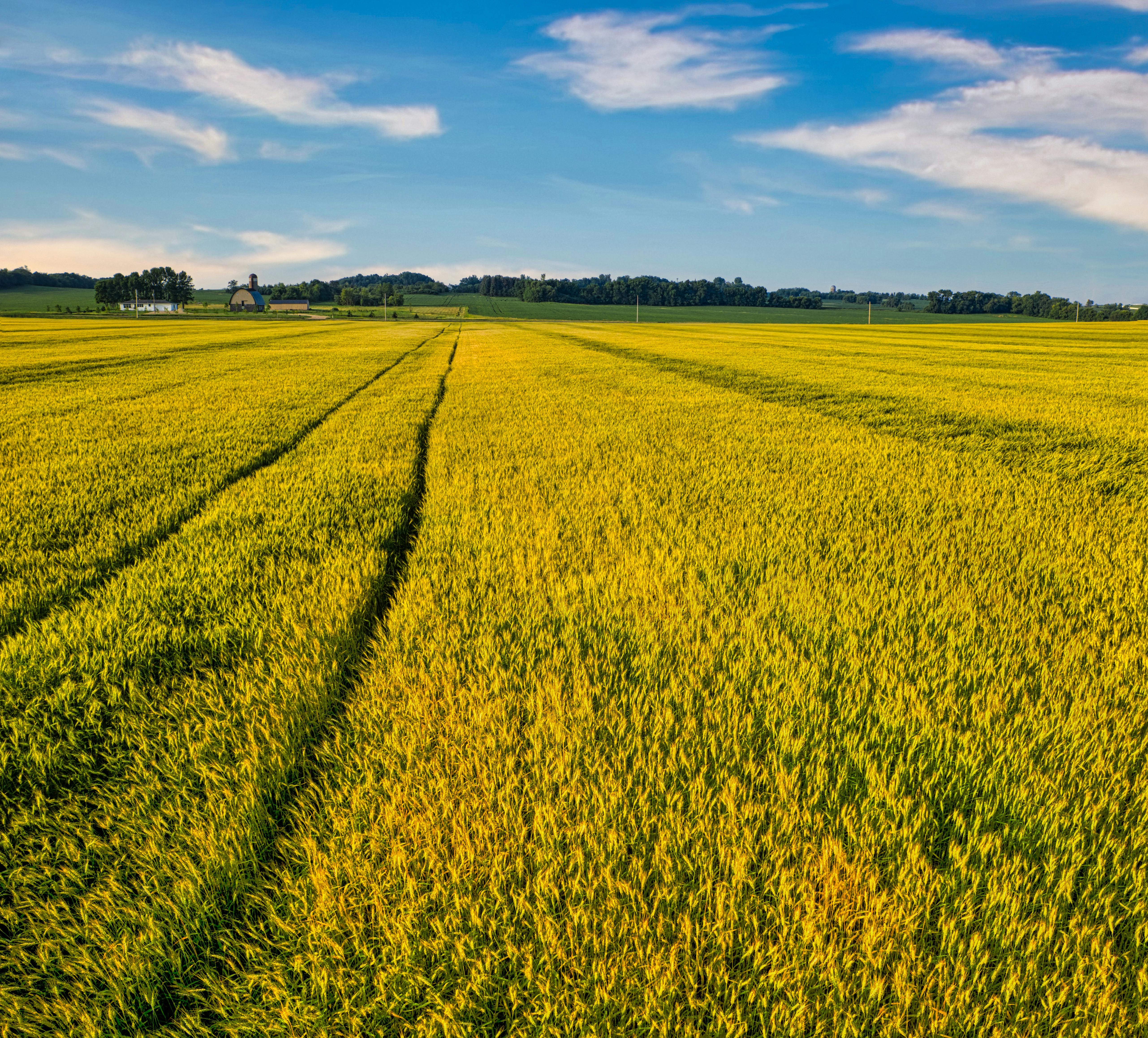 Aerial Shot of a Cropland · Free Stock Photo