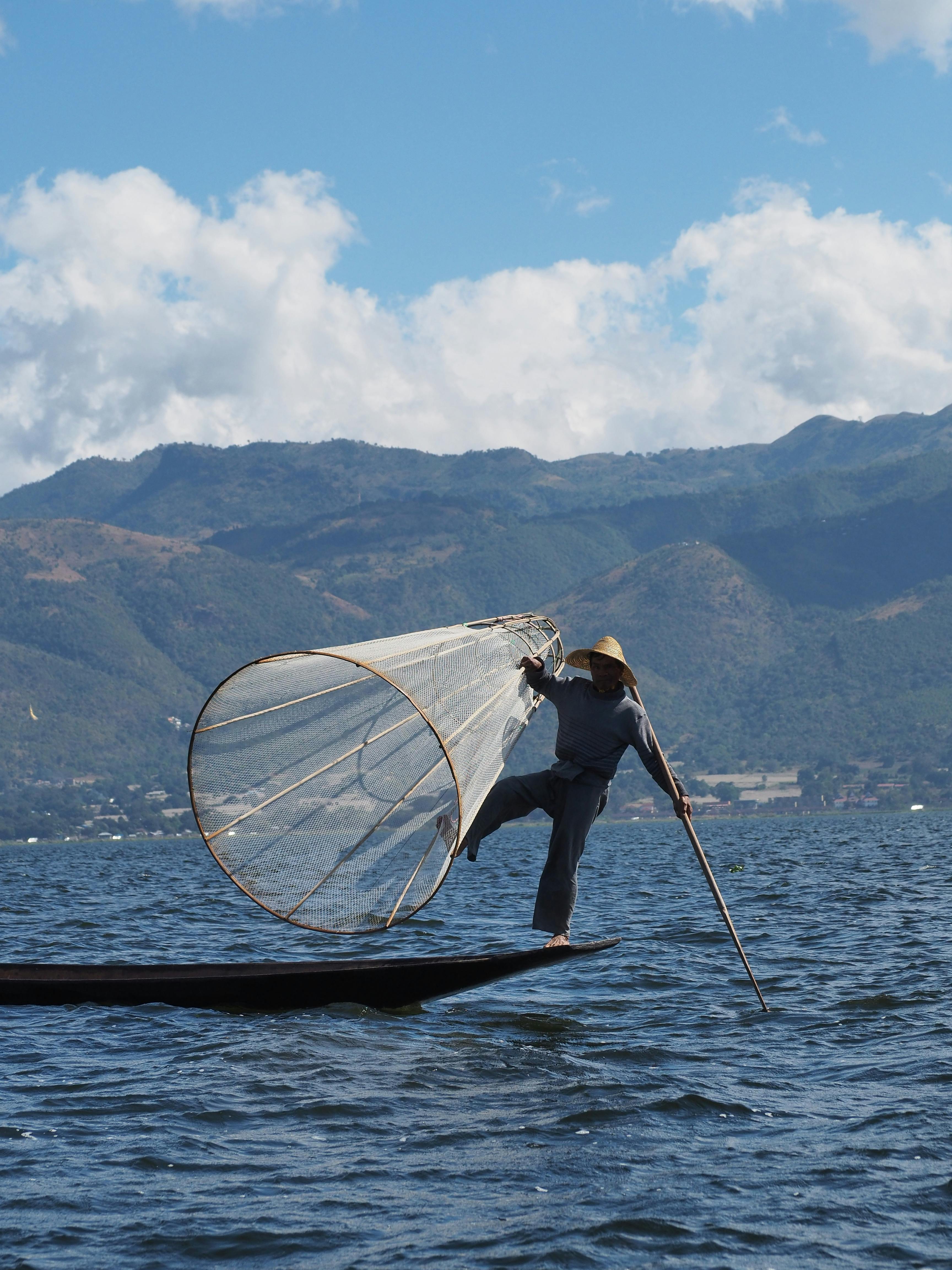 Fish Tip Photos, Download The BEST Free Fish Tip Stock Photos & HD Images