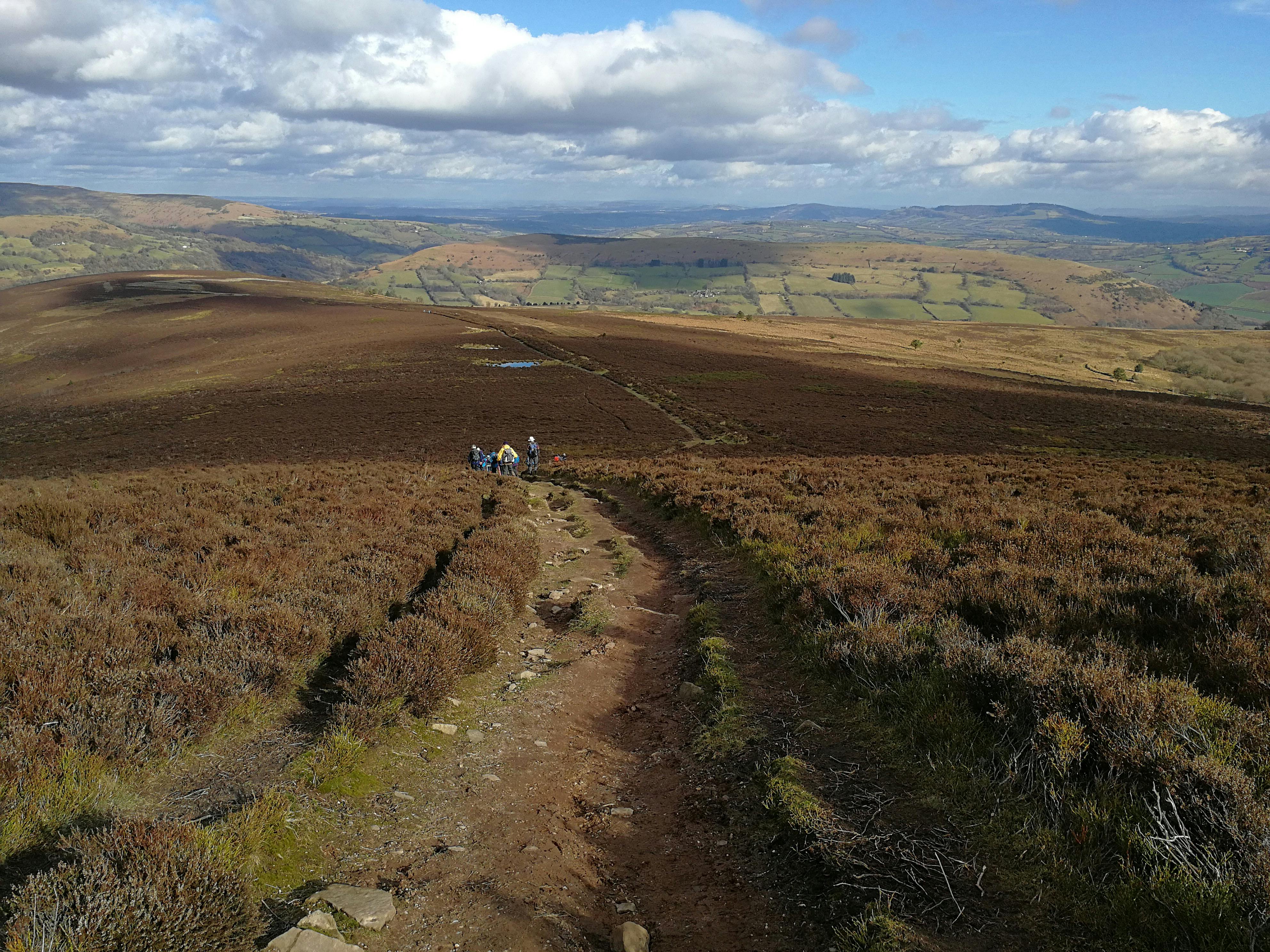 Brian Petty - Photography