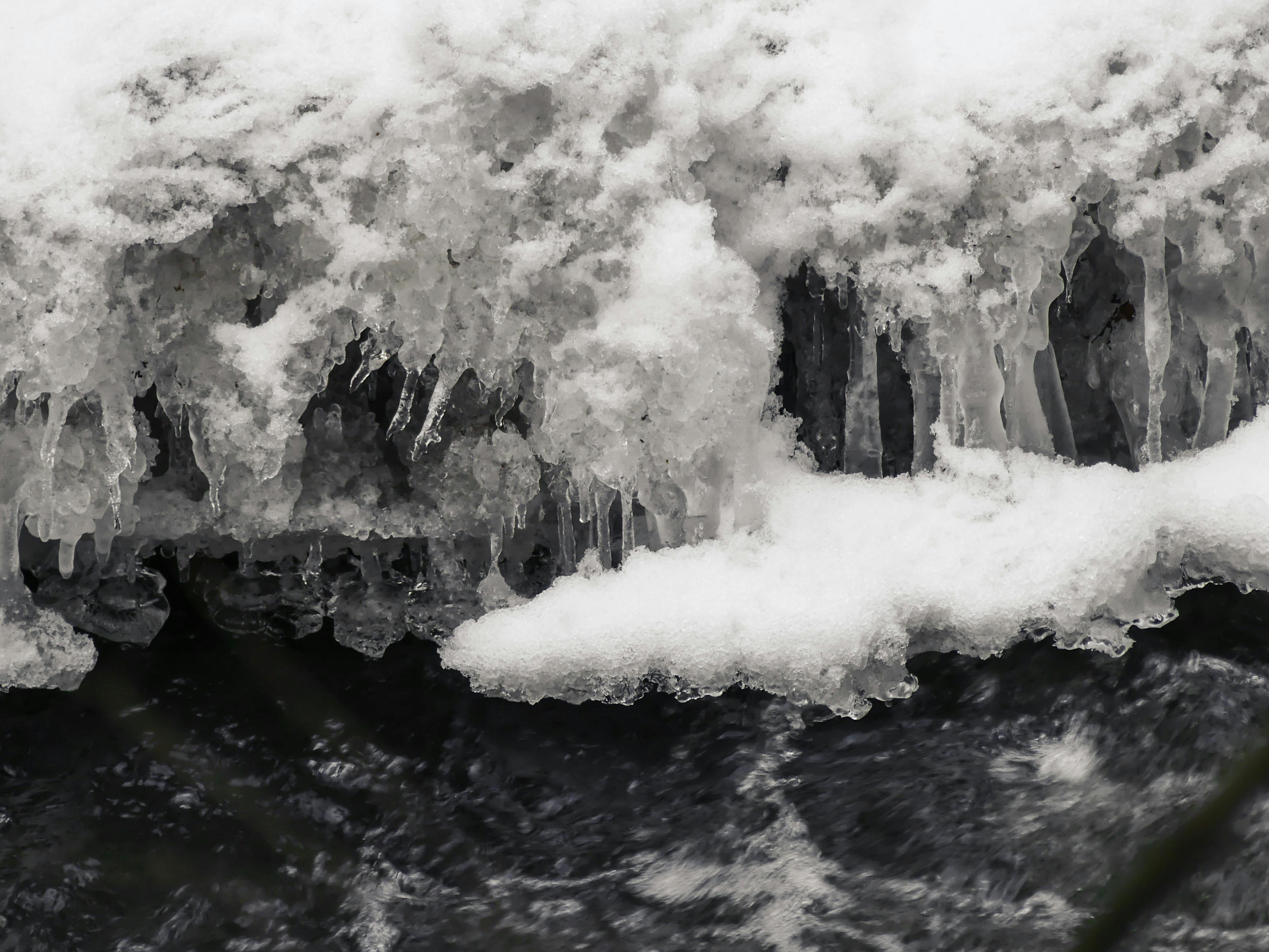 Sarah Richter - Photography